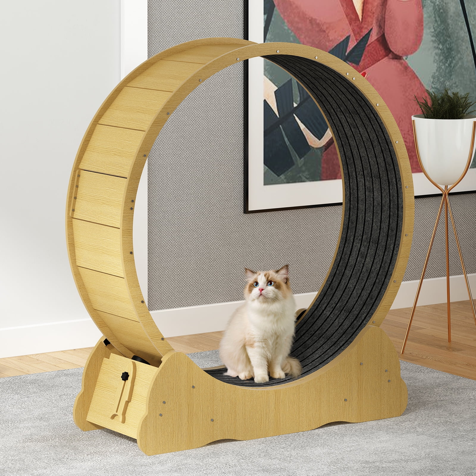 DISHUP 45" Cat Wheel Exerciser for Indoor Cats,Cat Running Wheel for ...