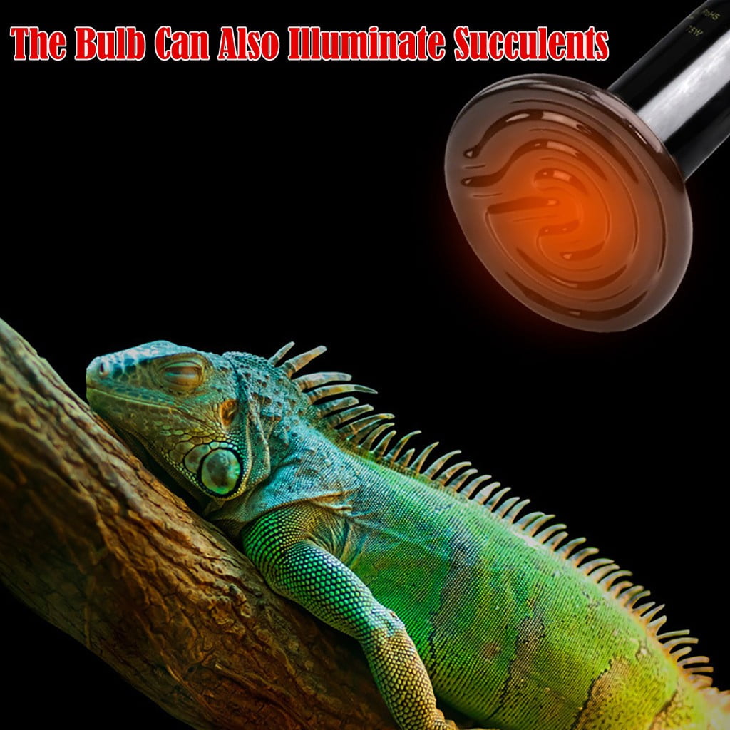 DIURYCE 220V Infrared Ceramic Emitter Heat Light Lamp Bulb For Reptile ...