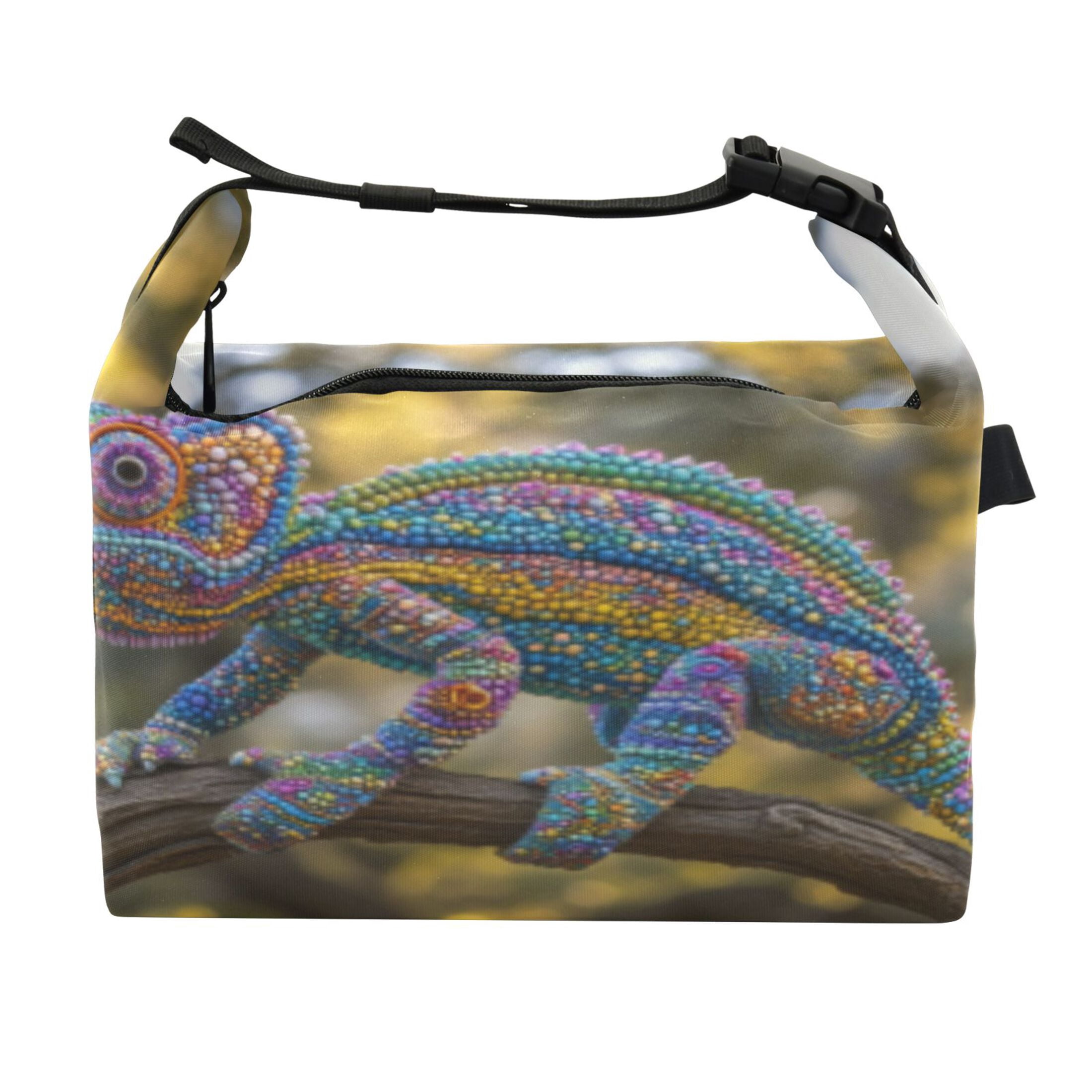 DIXRUYEE Lunch Bag Double Deck Lunch Cooler Box Fashion Colorful ...