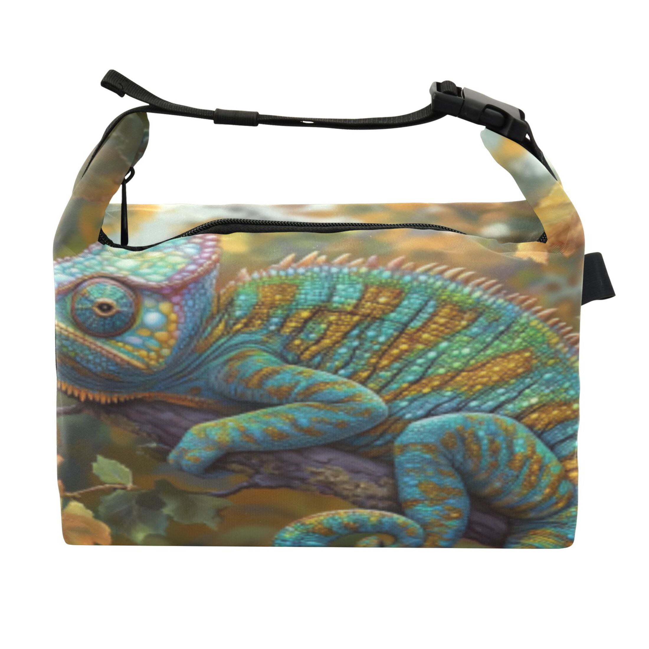 DIXRUYEE Lunch Bag Double Deck Lunch Cooler Box Fashion Decorative ...