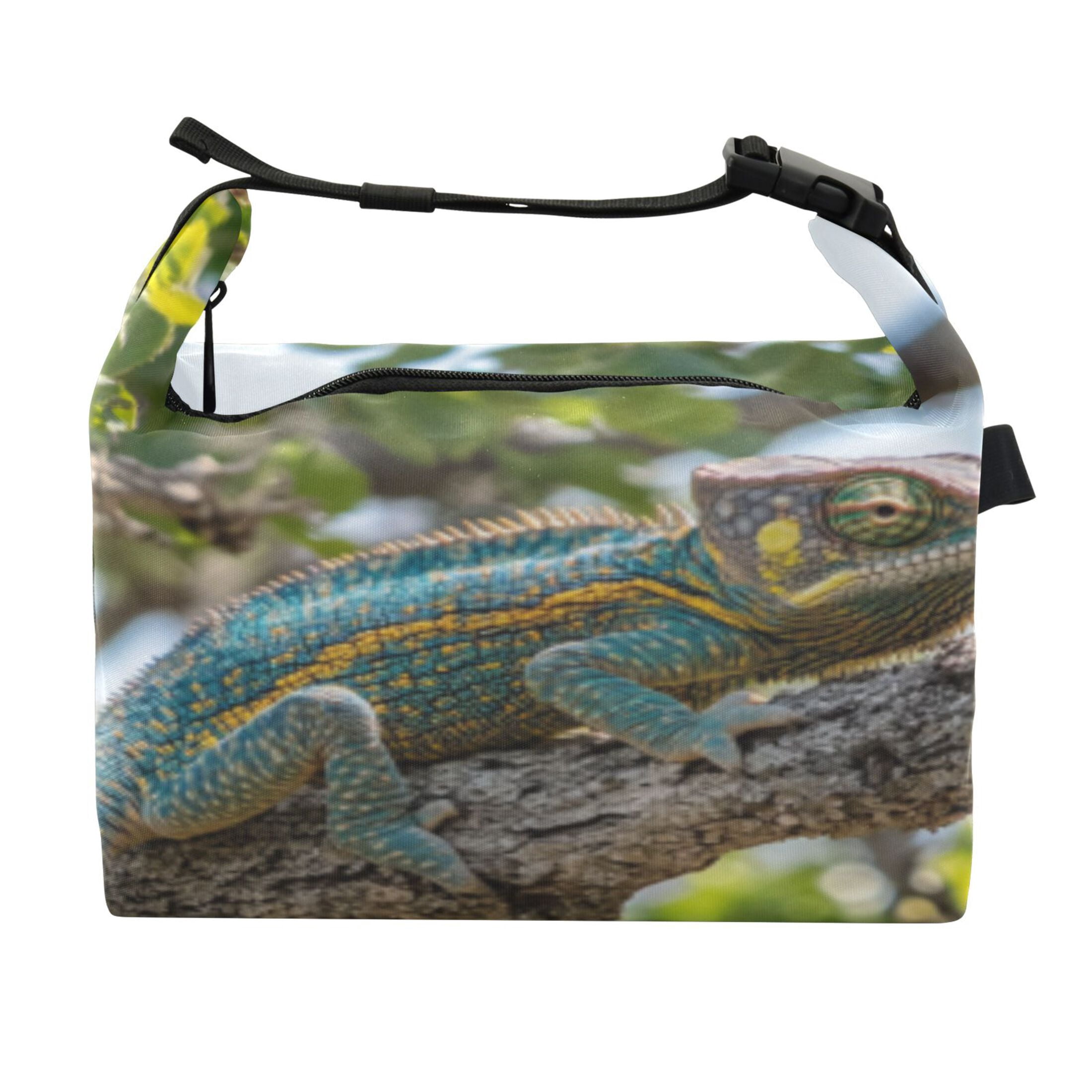 DIXRUYEE Lunch Bag Double Deck Lunch Cooler Box Fashion Detailed Green ...