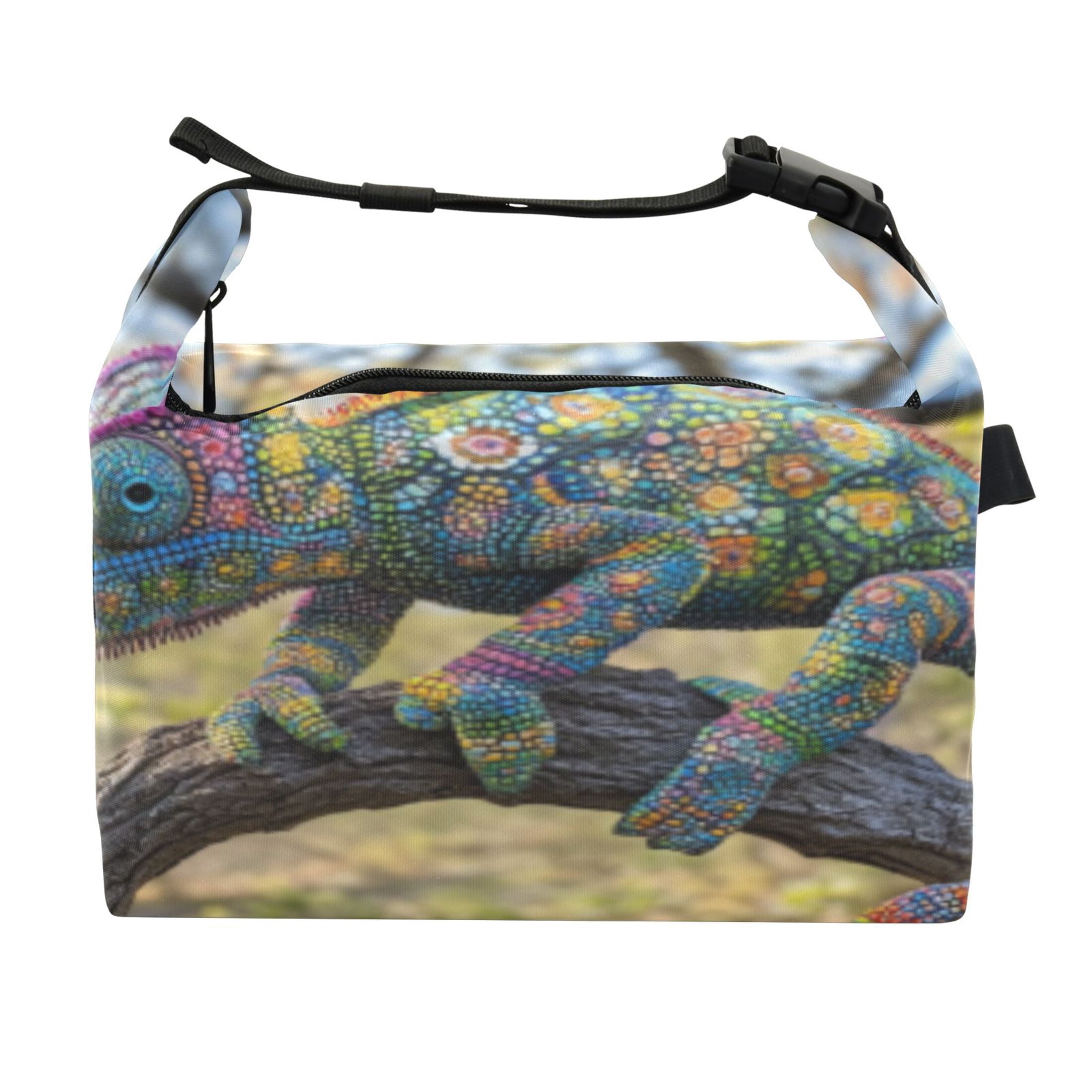 DIXRUYEE Lunch Bag Double Deck Lunch Cooler Box Fashion Multicolored ...