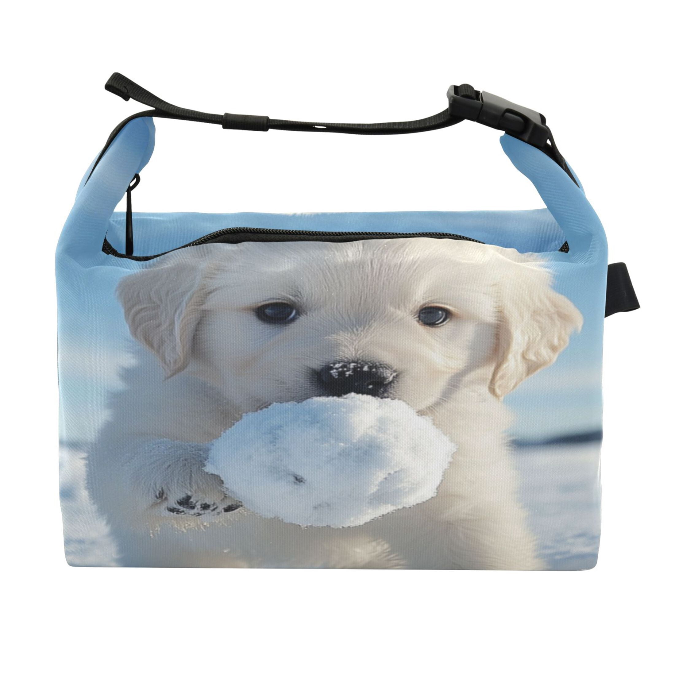DIXRUYEE Lunch Bag Double Deck Lunch Cooler Box Fashion Snowball Chaser ...