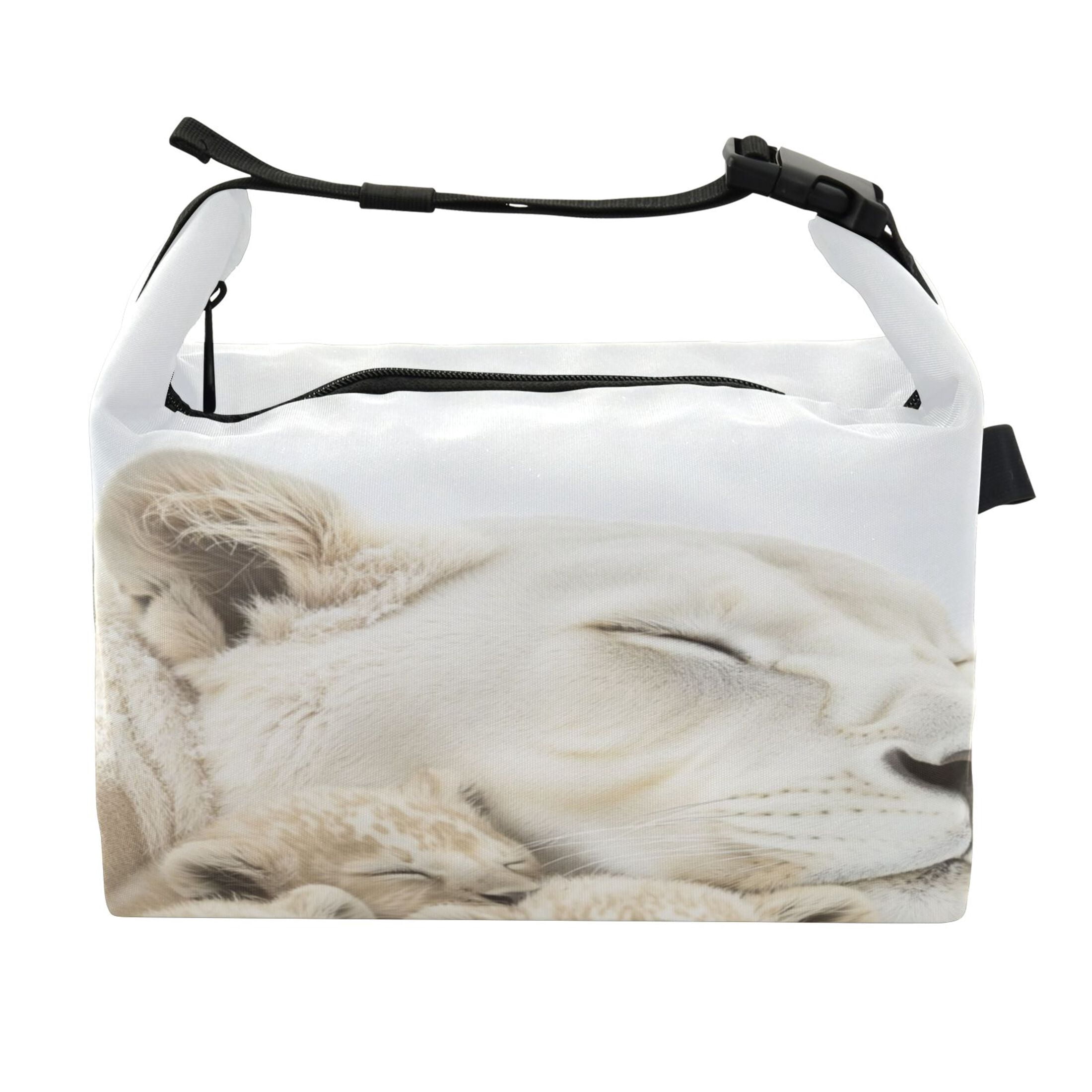 DIXRUYEE Lunch Bag Double Deck Lunch Cooler Box Fashion Snowy Embrace ...