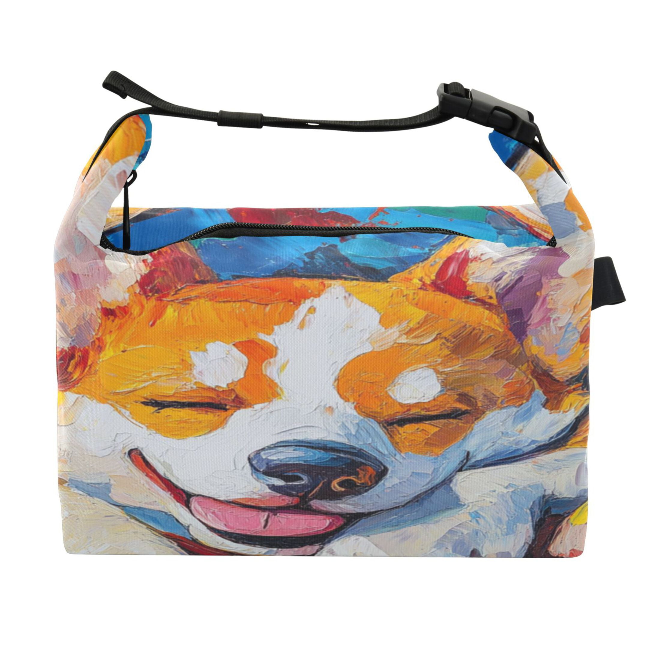 DIXRUYEE Lunch Bag Double Deck Lunch Cooler Box Fashion The Colorful ...