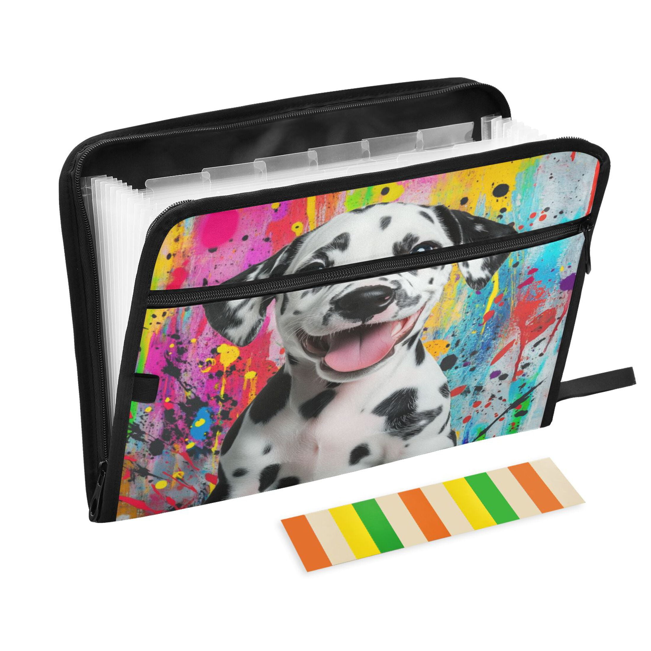 DIXRUYEE Organ Folders Expanding Folder with Color Label 13 Pocket ...