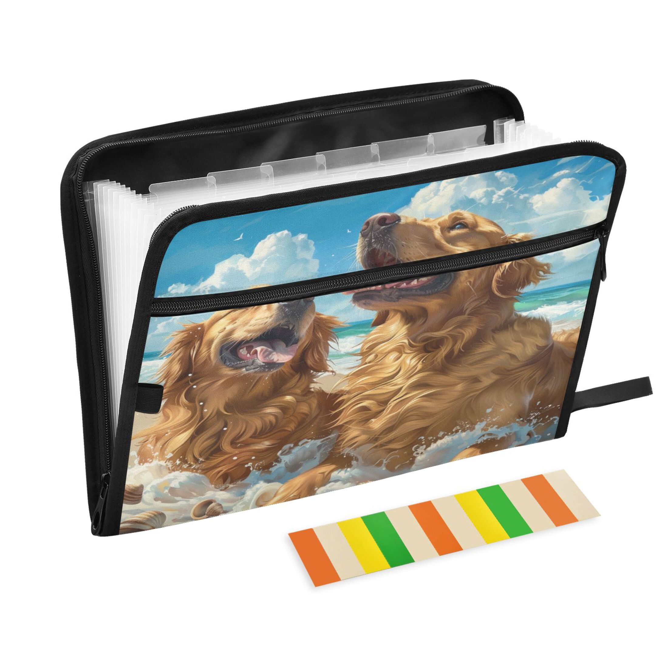 DIXRUYEE Organ Folders Expanding Folder with Color Label 13 Pocket ...