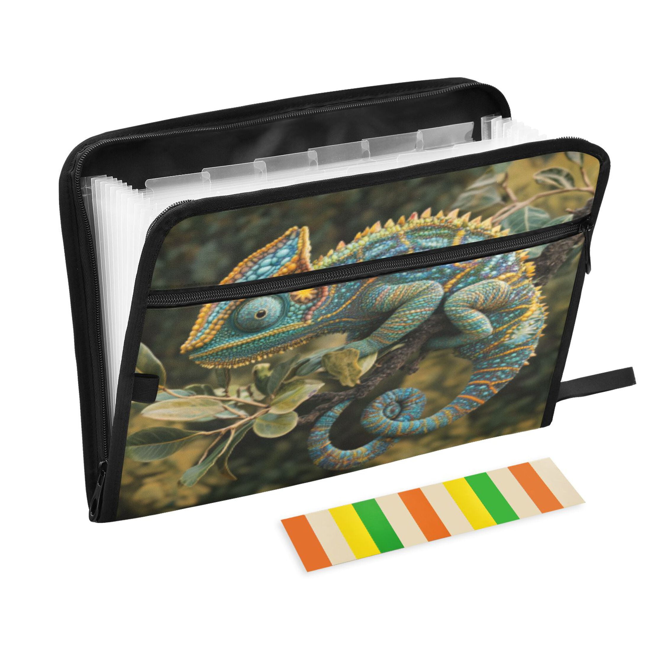 DIXRUYEE Organ Folders Expanding Folder with Color Label 13 Pocket ...