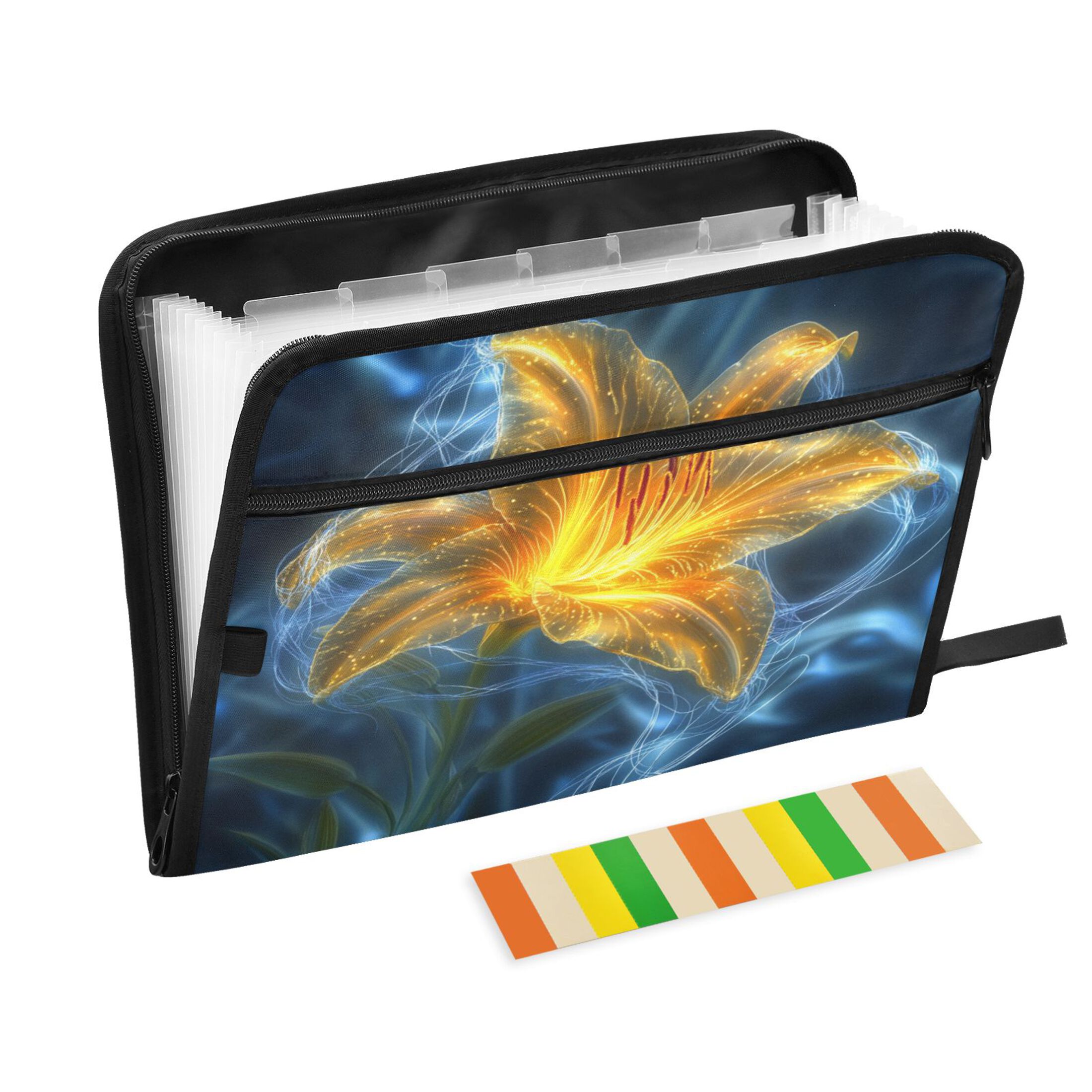 DIXRUYEE Organ Folders Expanding Folder with Color Label 13 Pocket ...