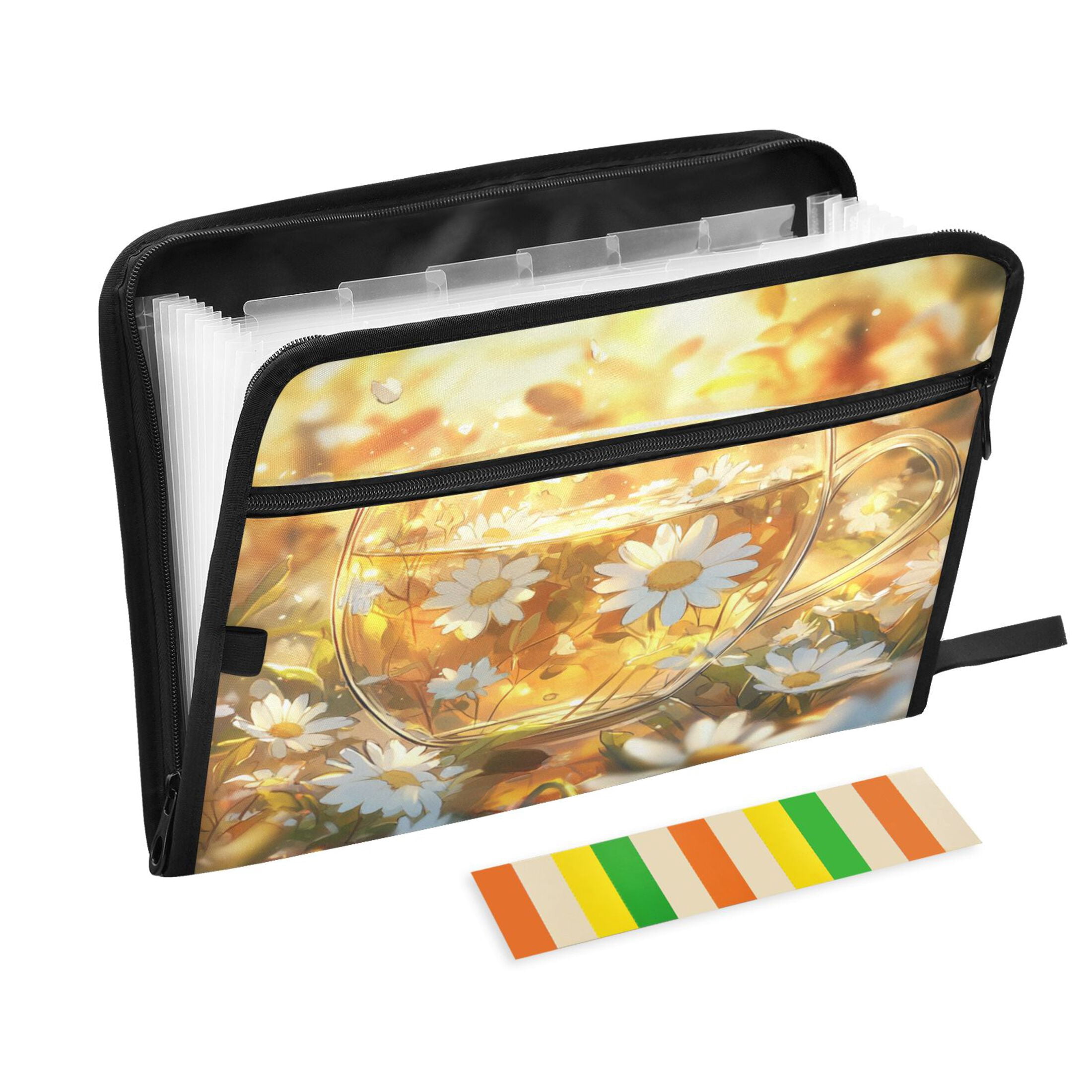 DIXRUYEE Organ Folders Expanding Folder with Color Label 13 Pocket ...