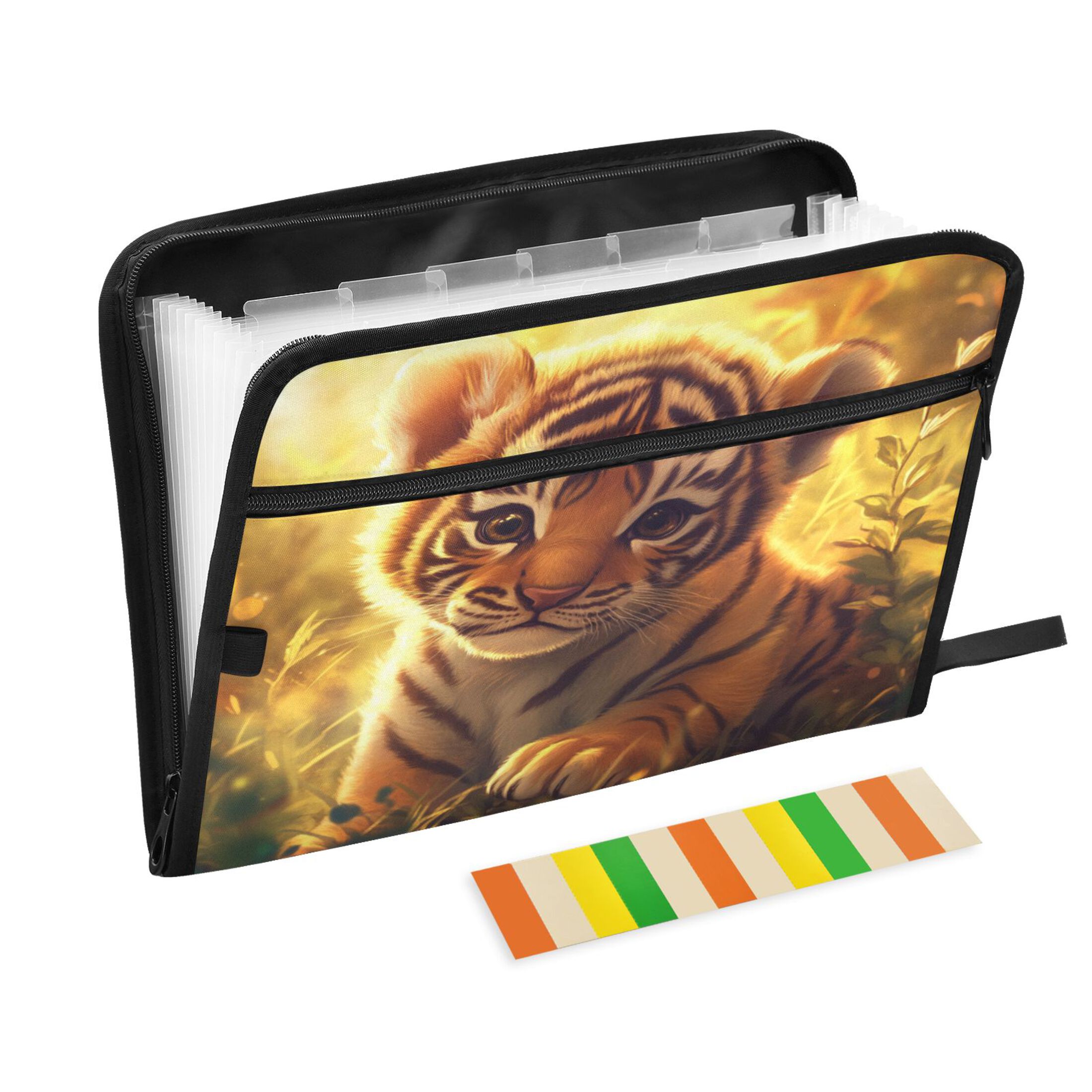 DIXRUYEE Organ Folders Expanding Folder with Color Label 13 Pocket ...