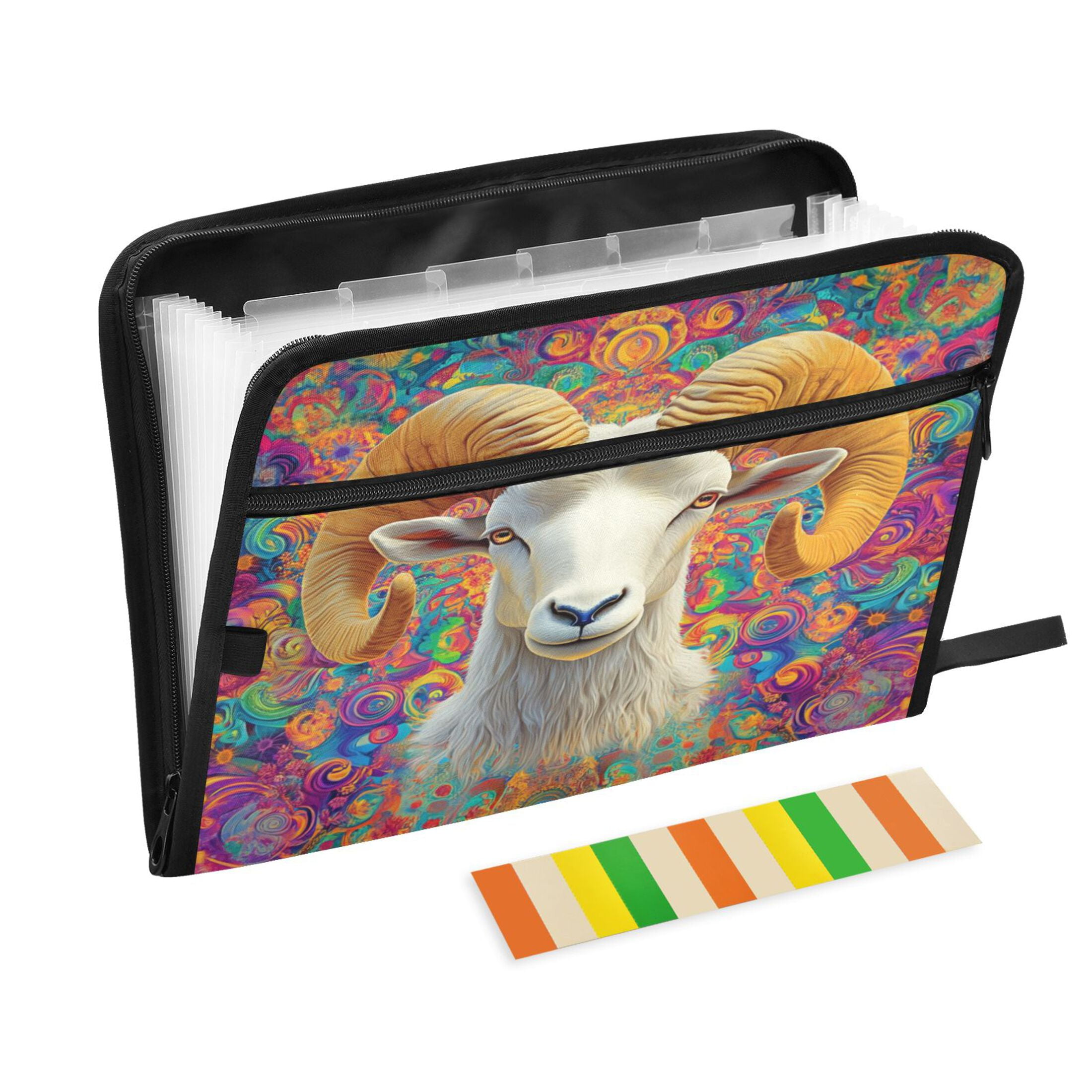 DIXRUYEE Organ Folders Expanding Folder with Color Label 13 Pocket ...