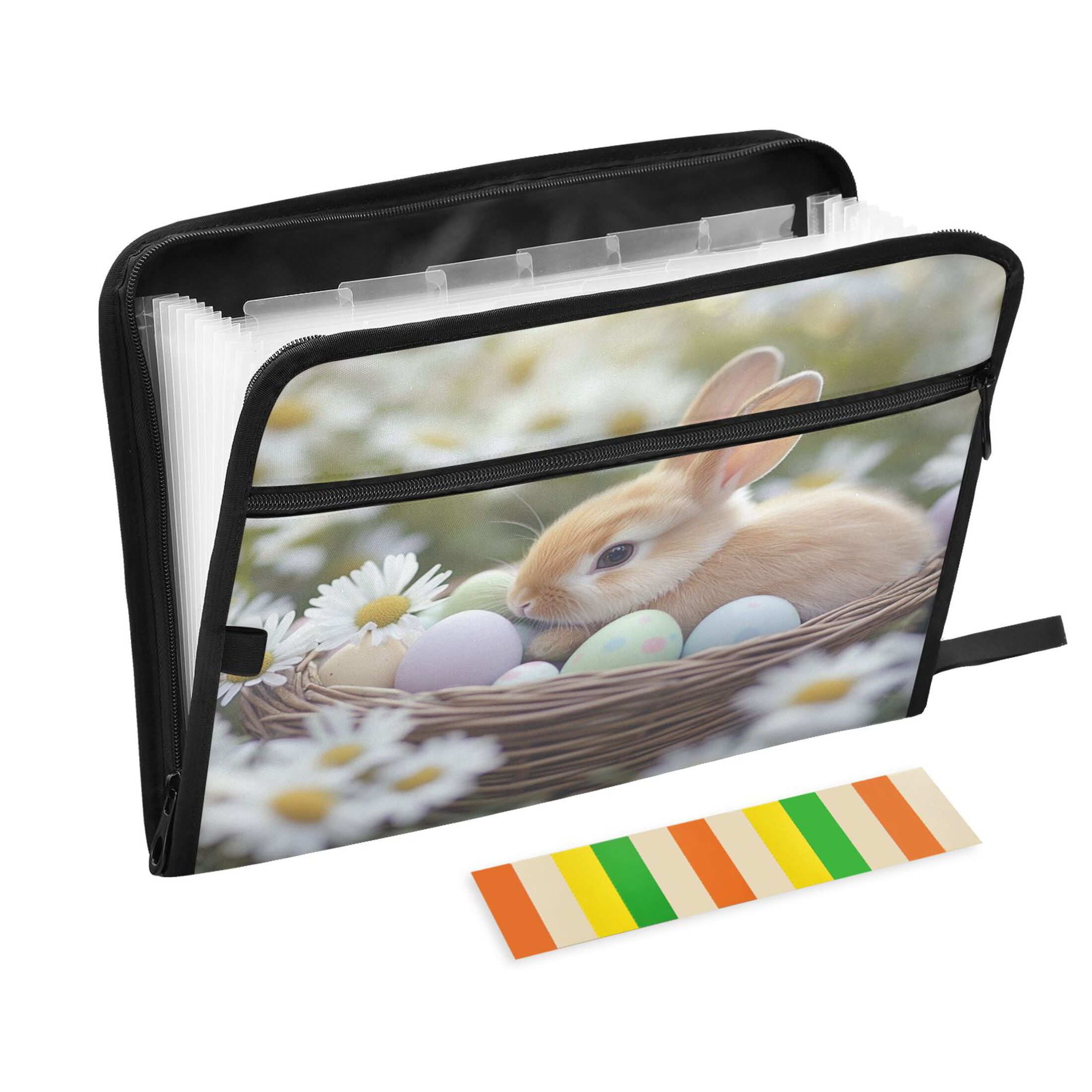 DIXRUYEE Organ Folders Expanding Folder with Color Label 13 Pocket ...