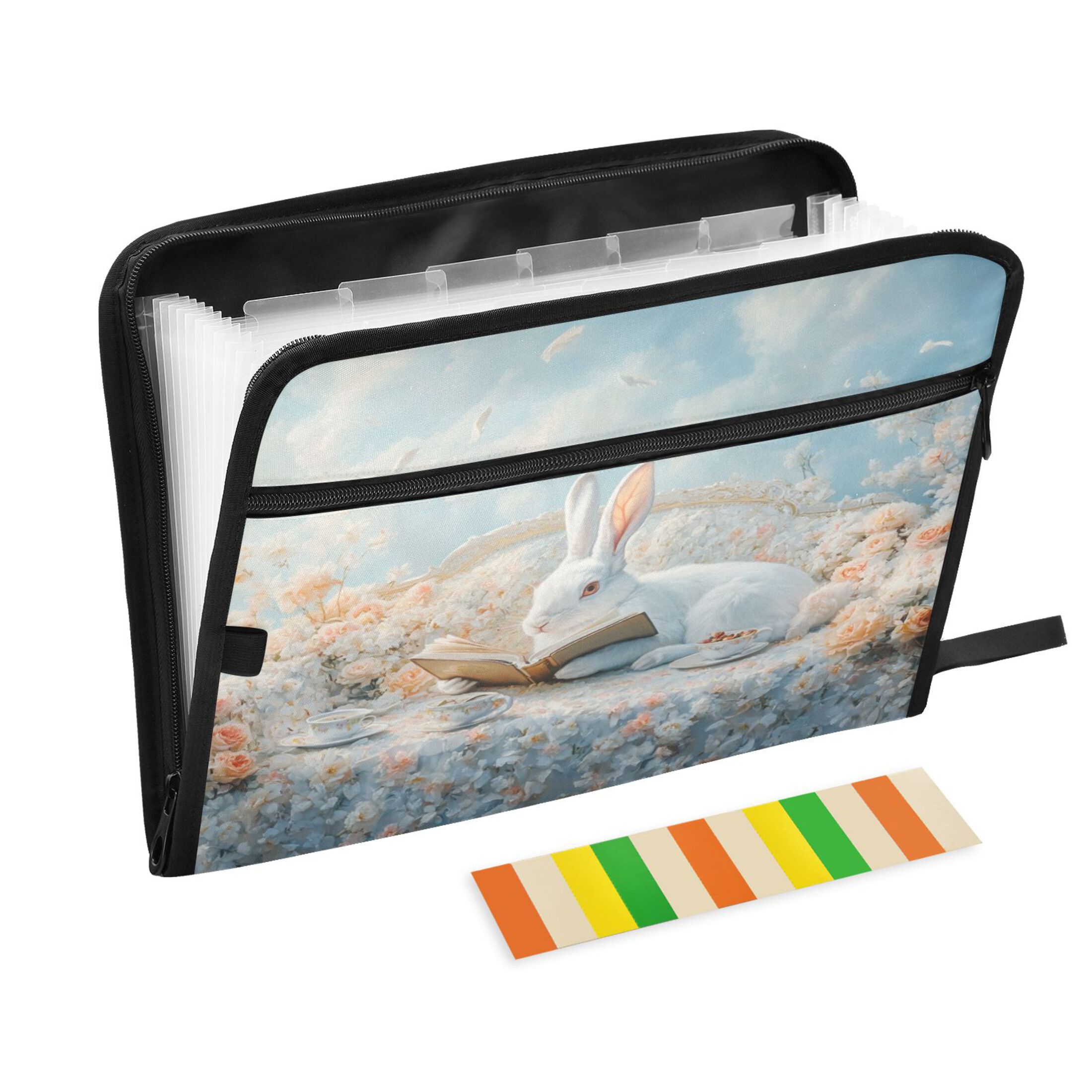 DIXRUYEE Organ Folders Expanding Folder with Color Label 13 Pocket ...