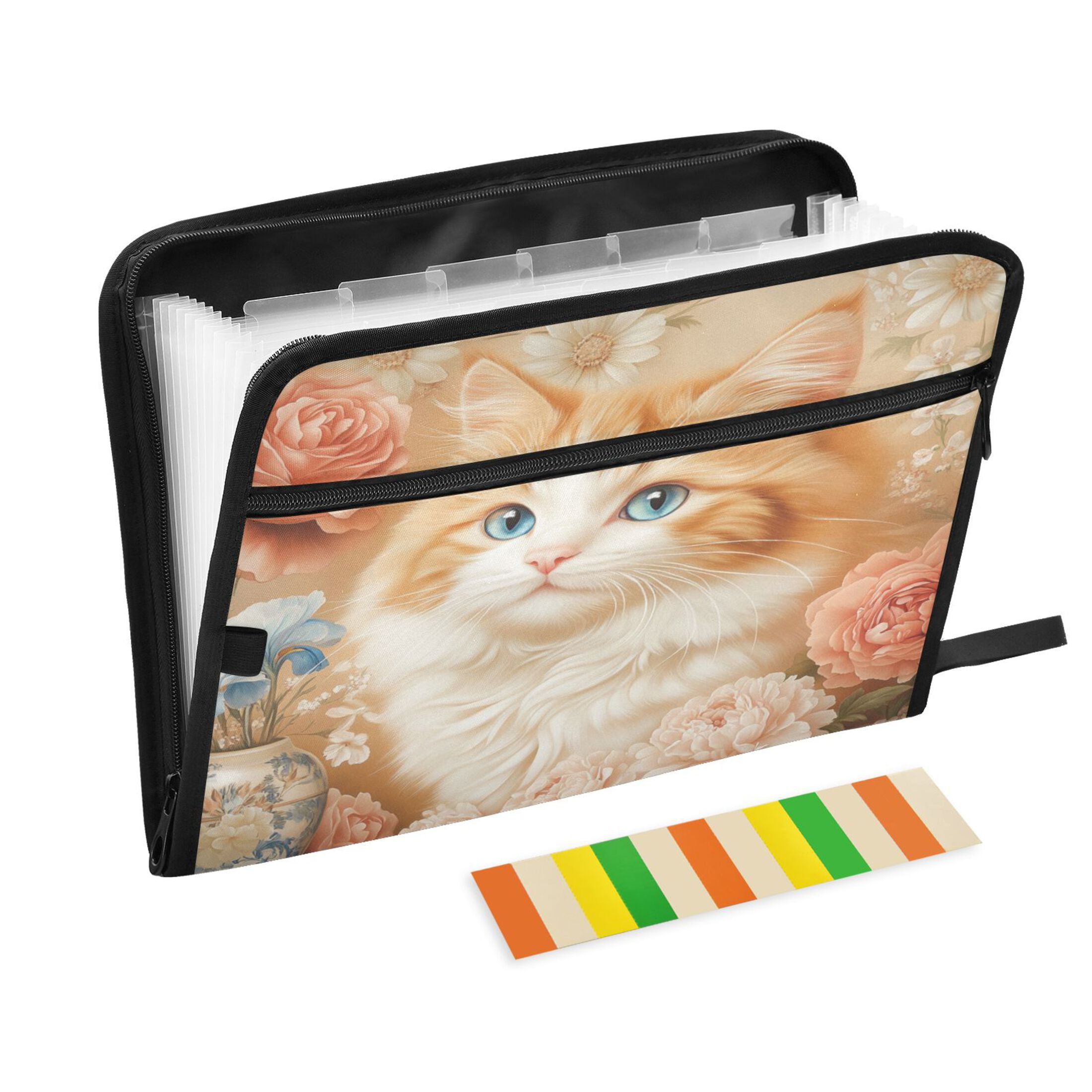 DIXRUYEE Organ Folders Expanding Folder with Color Label 13 Pocket ...