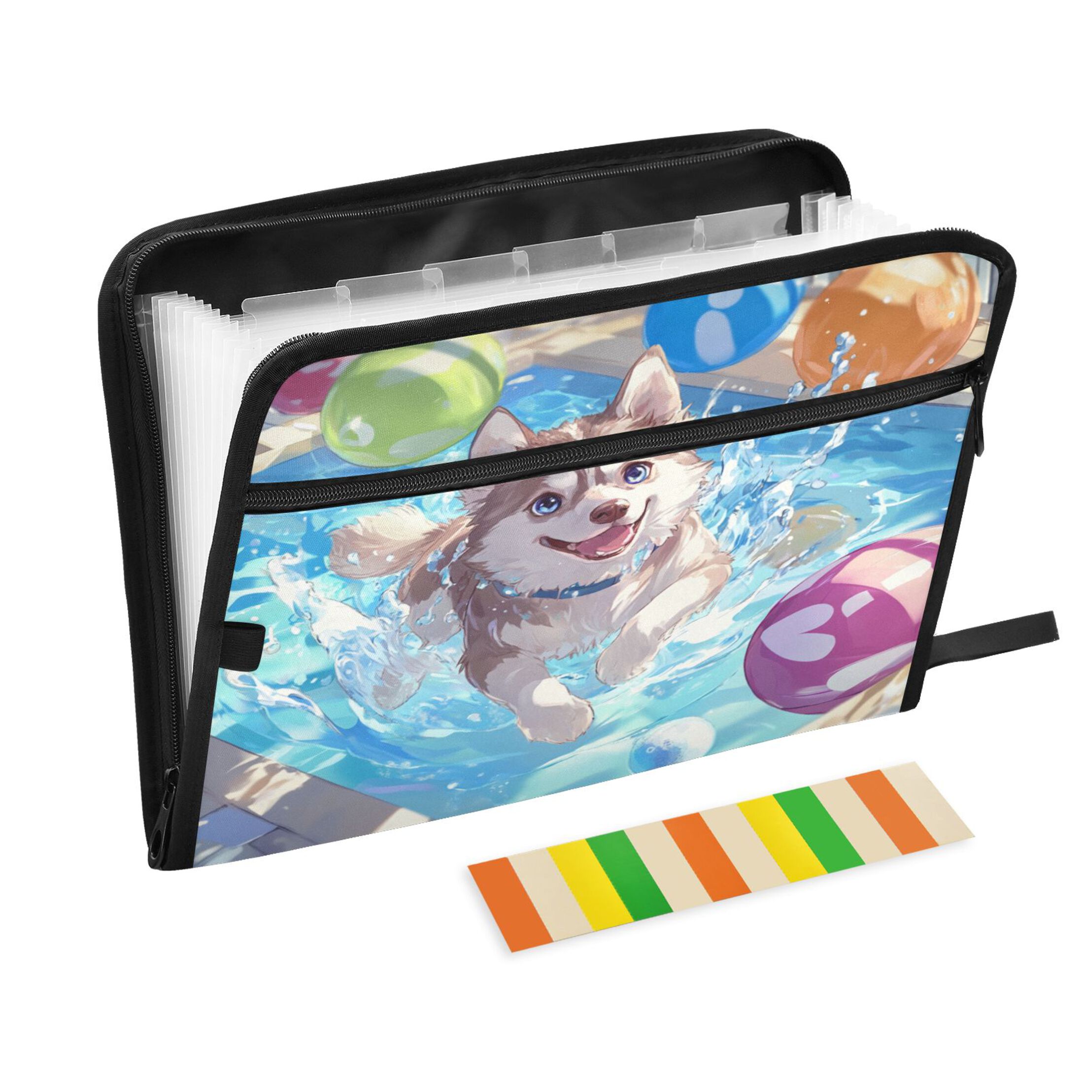DIXRUYEE Organ Folders Expanding Folder with Color Label 13 Pocket ...