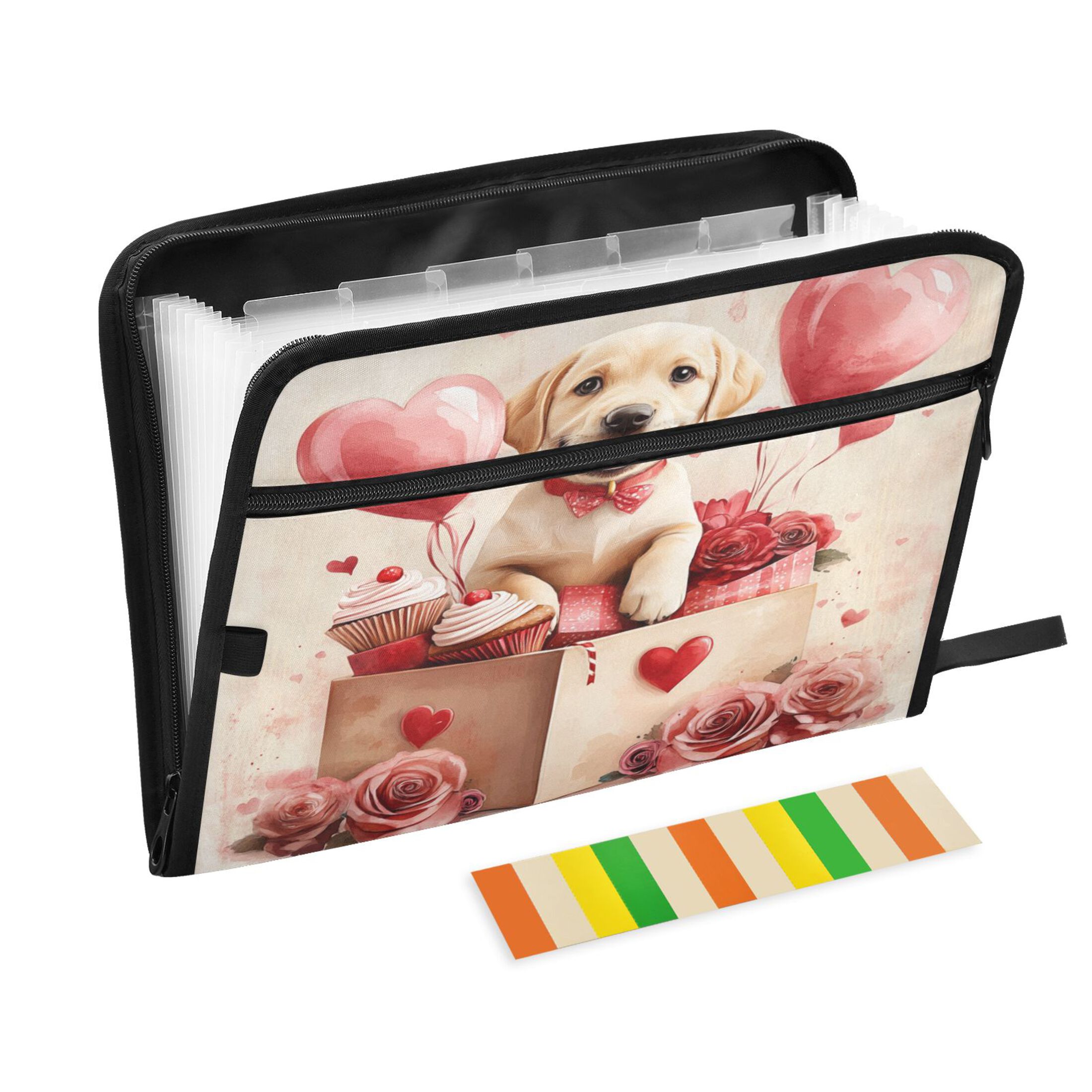 DIXRUYEE Organ Folders Expanding Folder with Color Label 13 Pocket ...