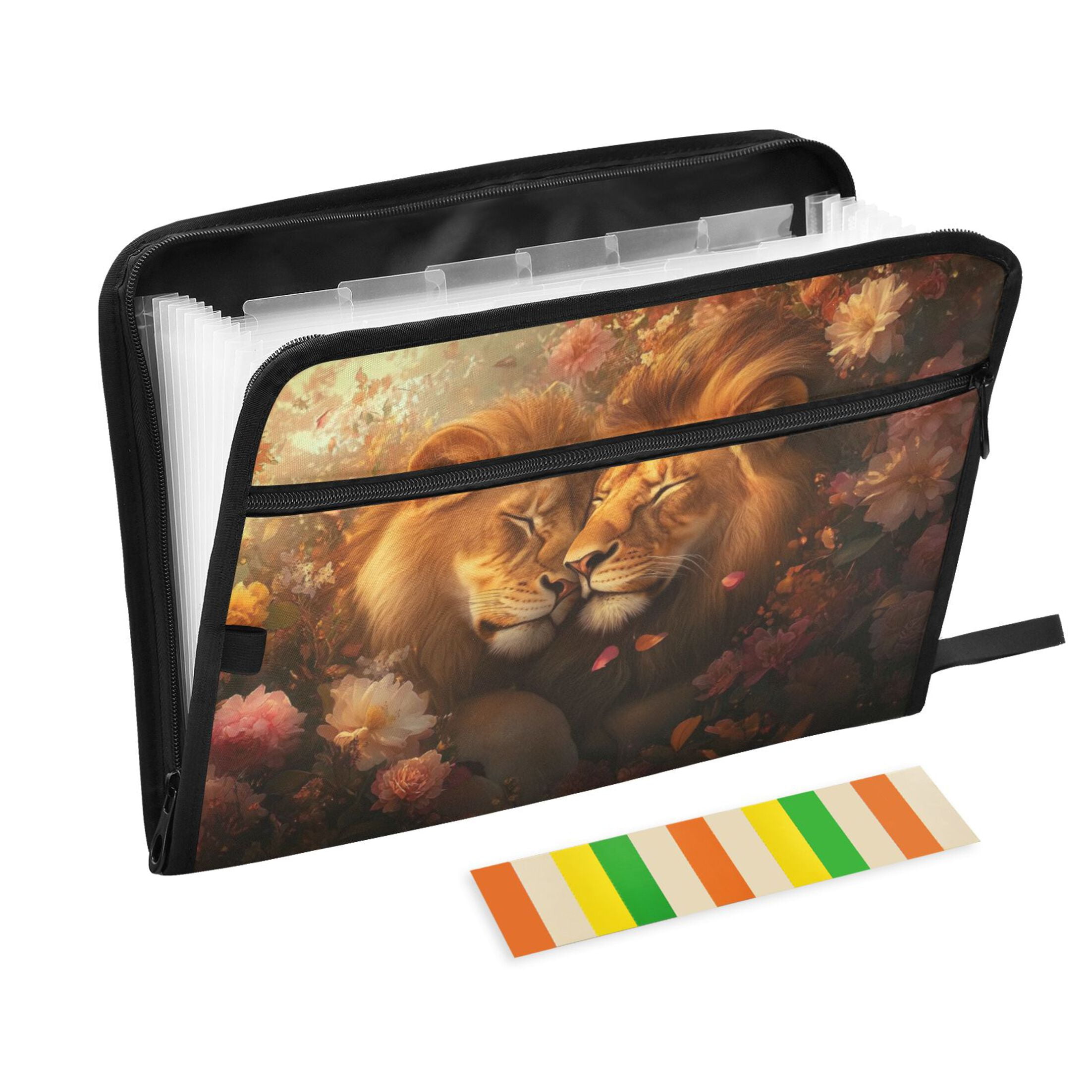 DIXRUYEE Organ Folders Expanding Folder with Color Label 13 Pocket ...