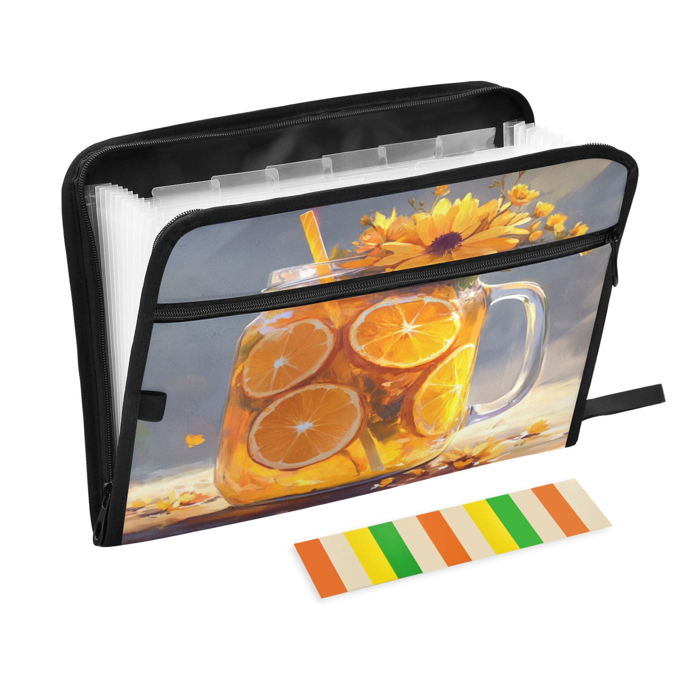 DIXRUYEE Organ Folders Expanding Folder with Color Label 13 Pocket ...