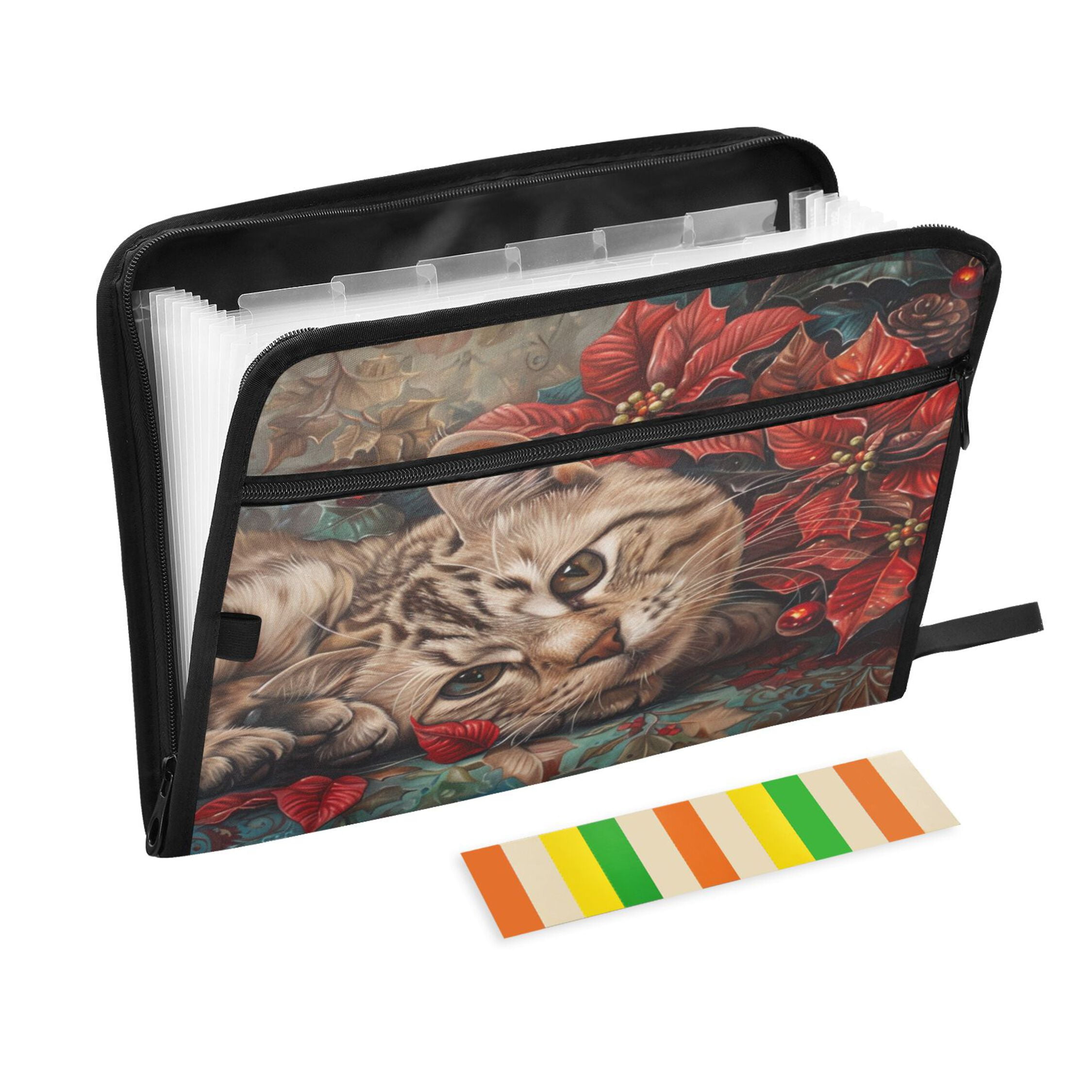 DIXRUYEE Organ Folders Expanding Folder with Color Label 13 Pocket ...