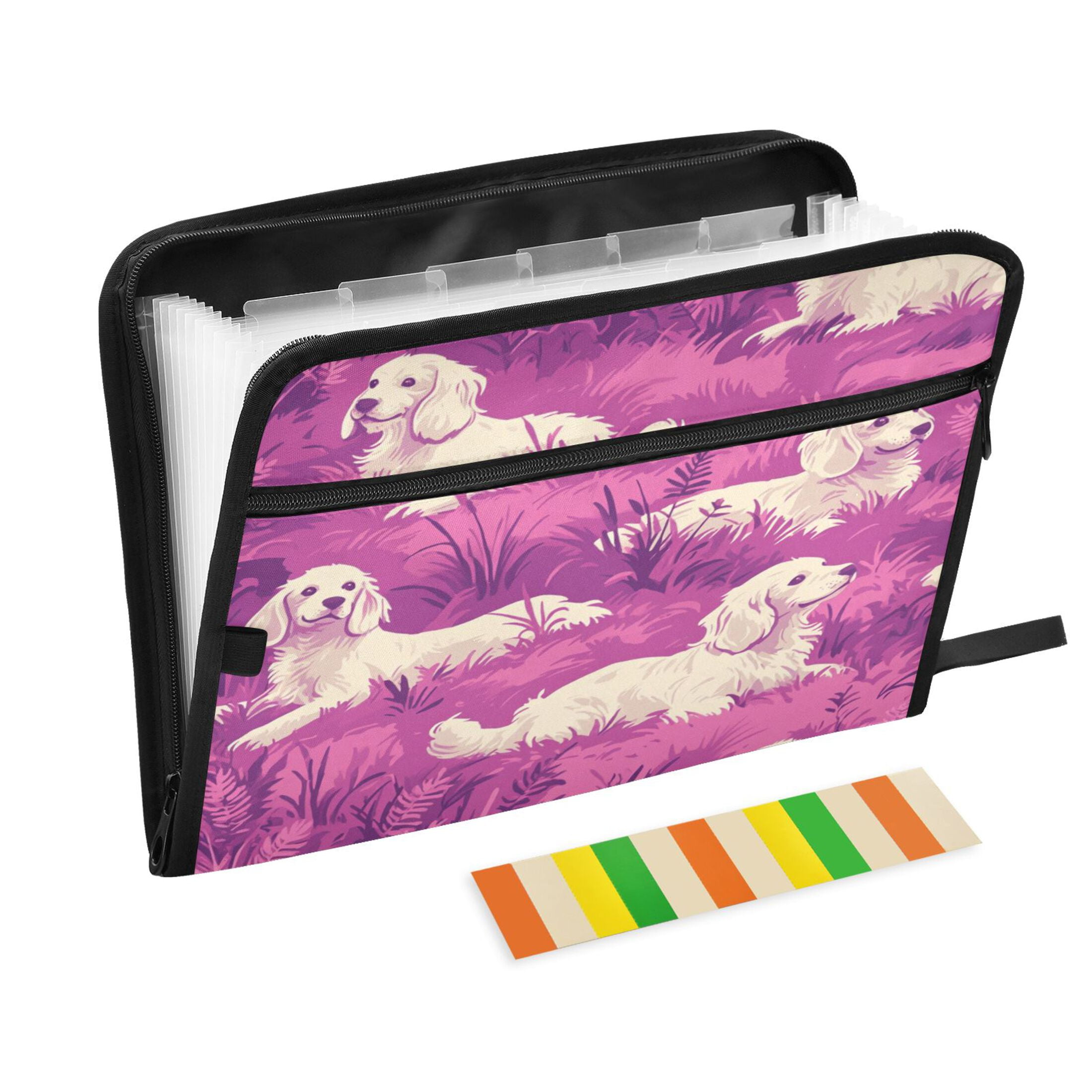 DIXRUYEE Organ Folders Expanding Folder with Color Label 13 Pocket ...