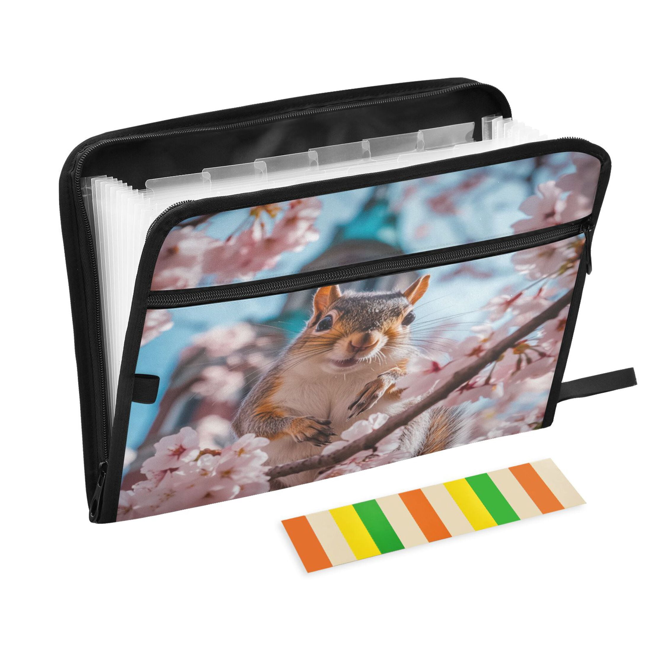 DIXRUYEE Organ Folders Expanding Folder with Color Label 13 Pocket ...
