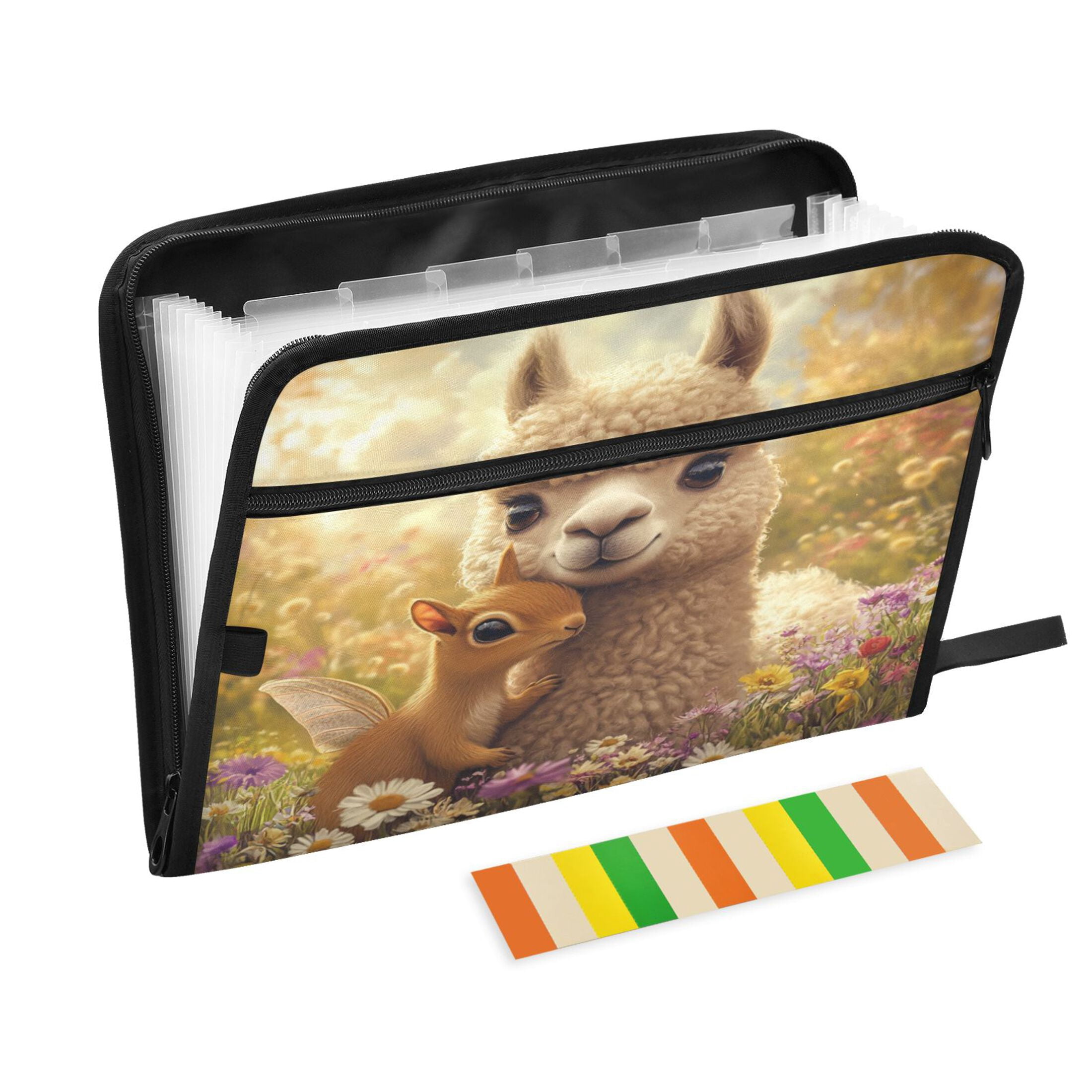 DIXRUYEE Organ Folders Expanding Folder with Color Label 13 Pocket ...