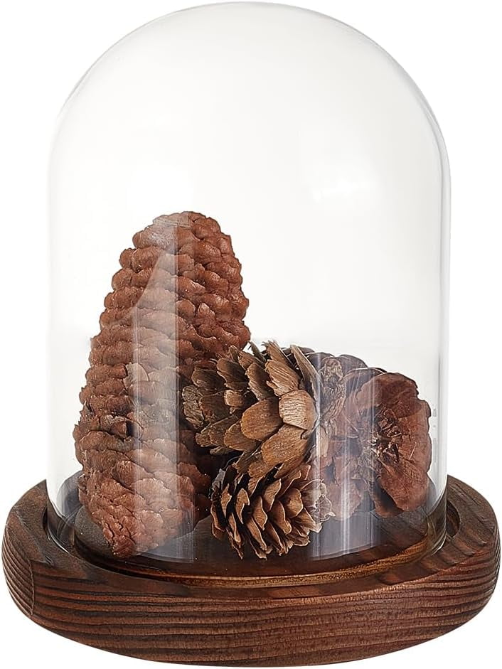 DIY 1 Pc Glass Display Dome Cloche 4.06x6.3 Inch Cloche Bell Jar ...