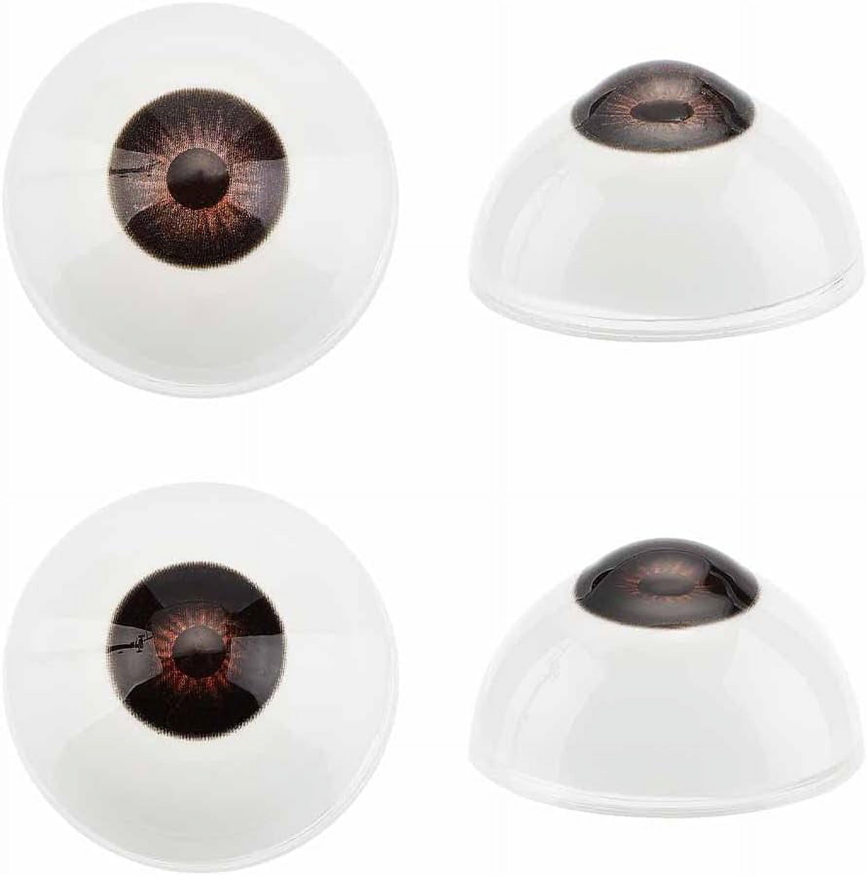 DIY 2 Pair Realistic Eyes Big Eyeballs Human Eyes Large Acrylic ...