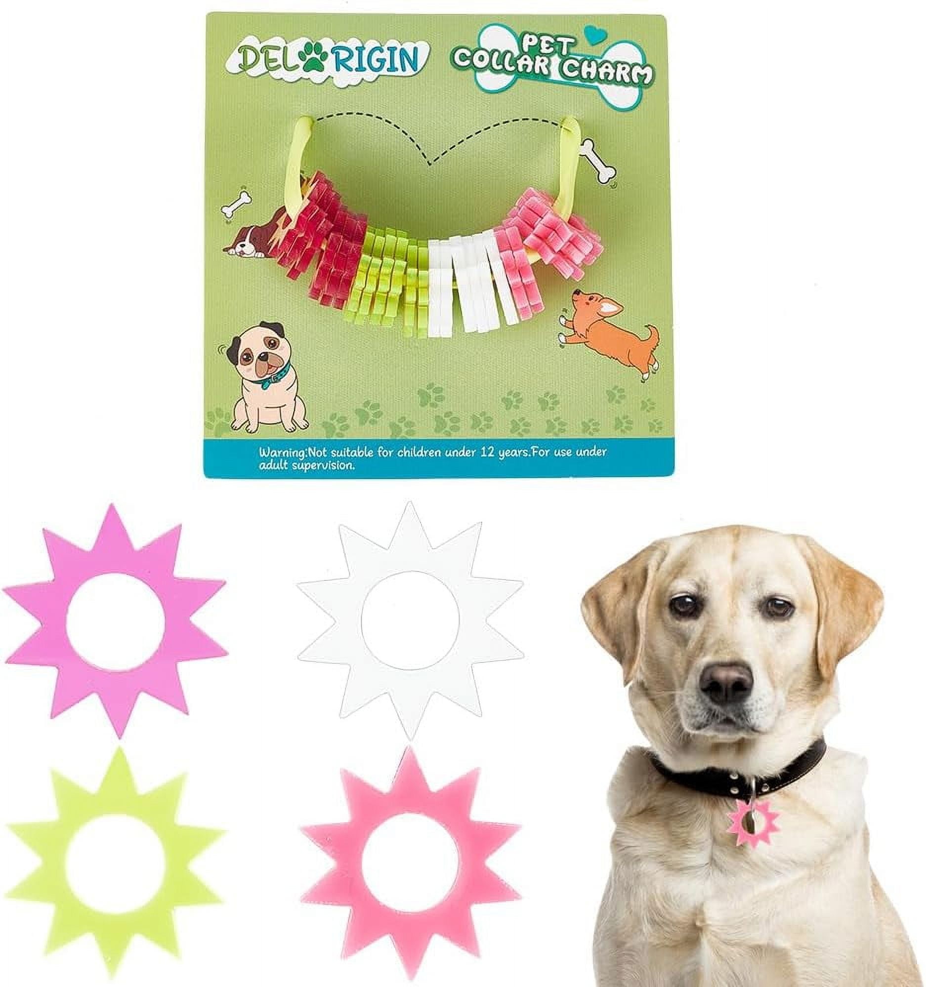 DIY 42pcs Pet ID Tag Charms 3 Colors Transparent Sun Shaped Pet Collar ...
