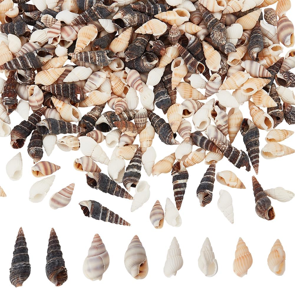 DIY 480Pcs Small Sea Shell 4 Style No Hole Spiral Shells Beads ...