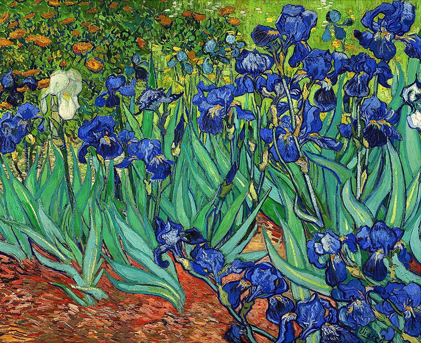 DIY 5D Diamond Painting Kit (For Adults) Diamond Painting "Van Gogh ...
