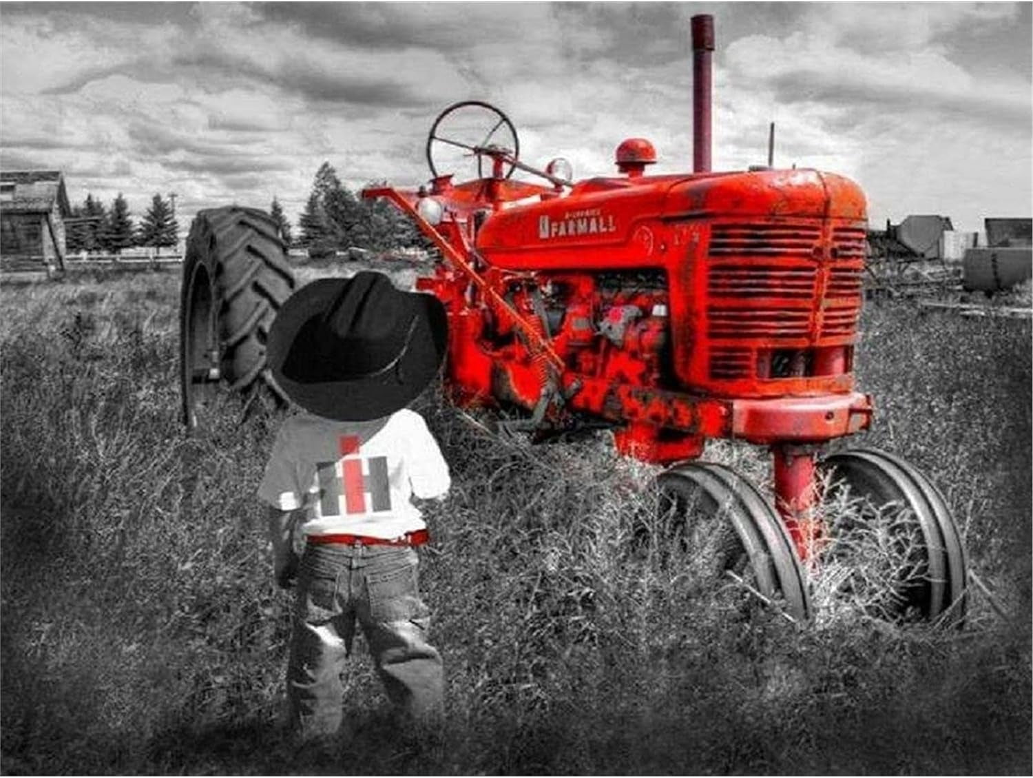 DIY 5D Diamond Painting Kit (For Adults) Diamond Painting "Farm Tractor ...