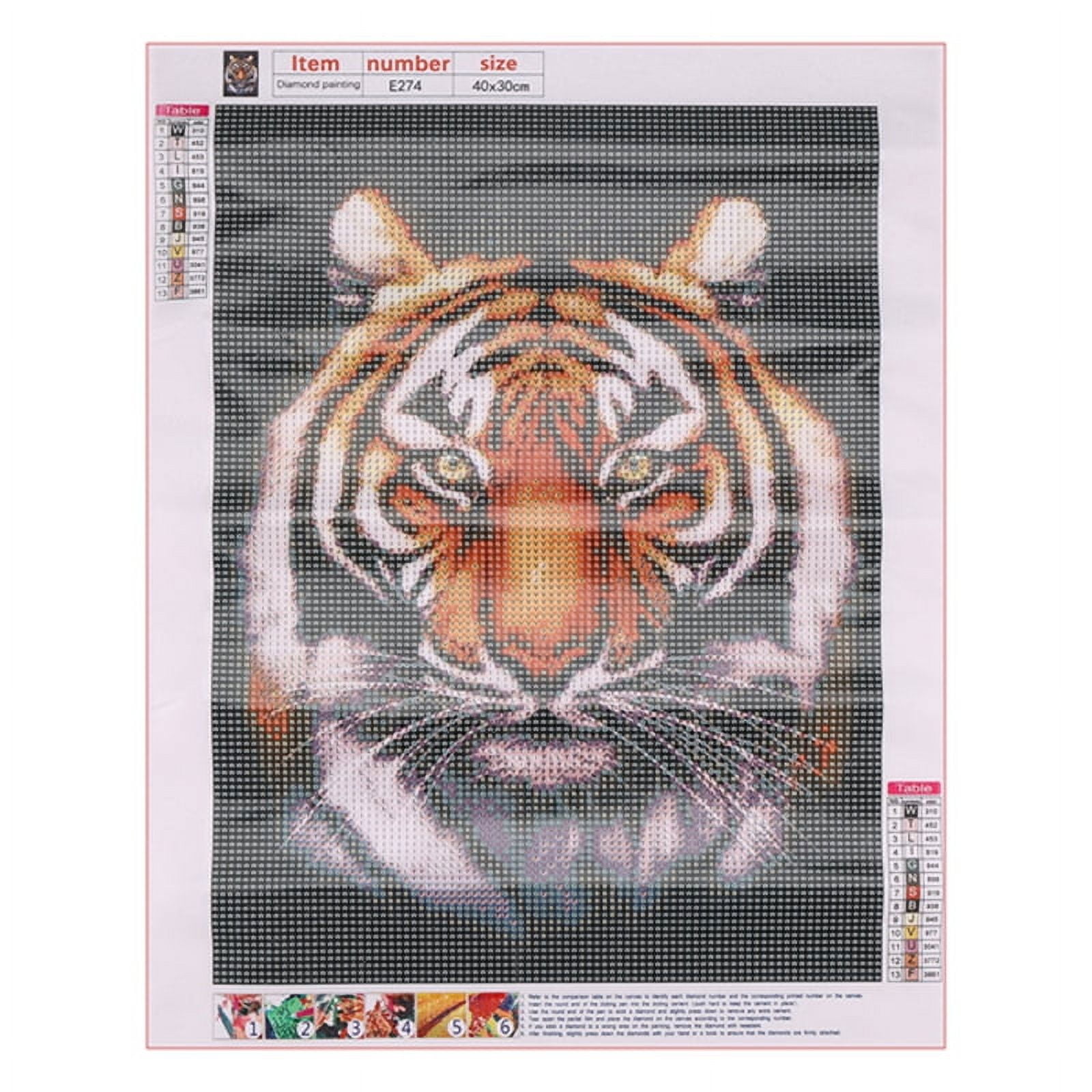 DIY 5D Kit for Adults Diamond Art Kit,Paint with Diamonds Embroidery ...