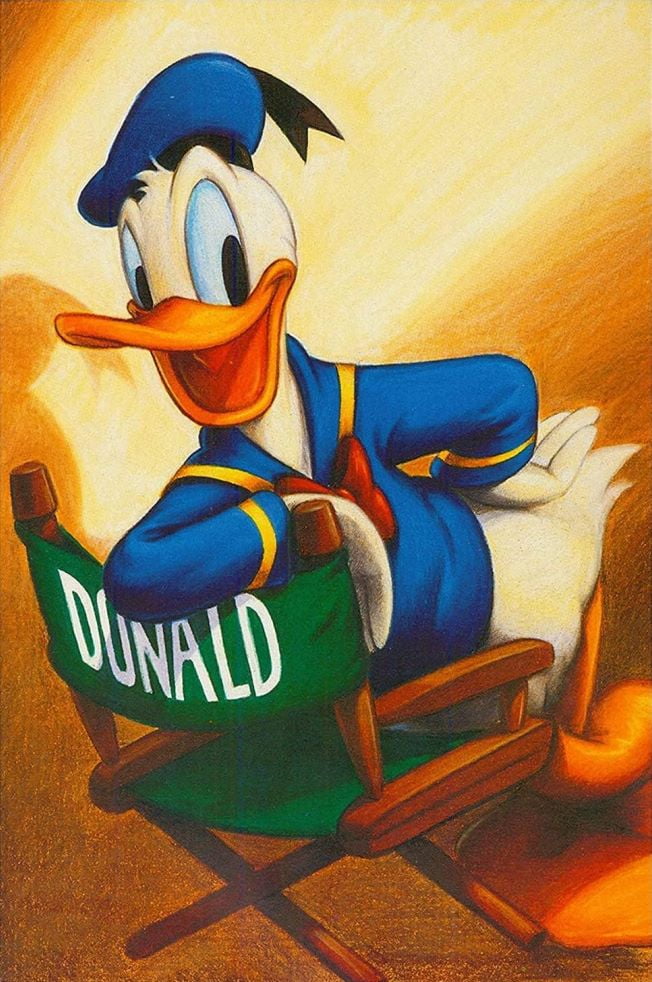 DIY 5D Stitch Diamond Art Kits for Adults Kids,Donald duck Paint by ...