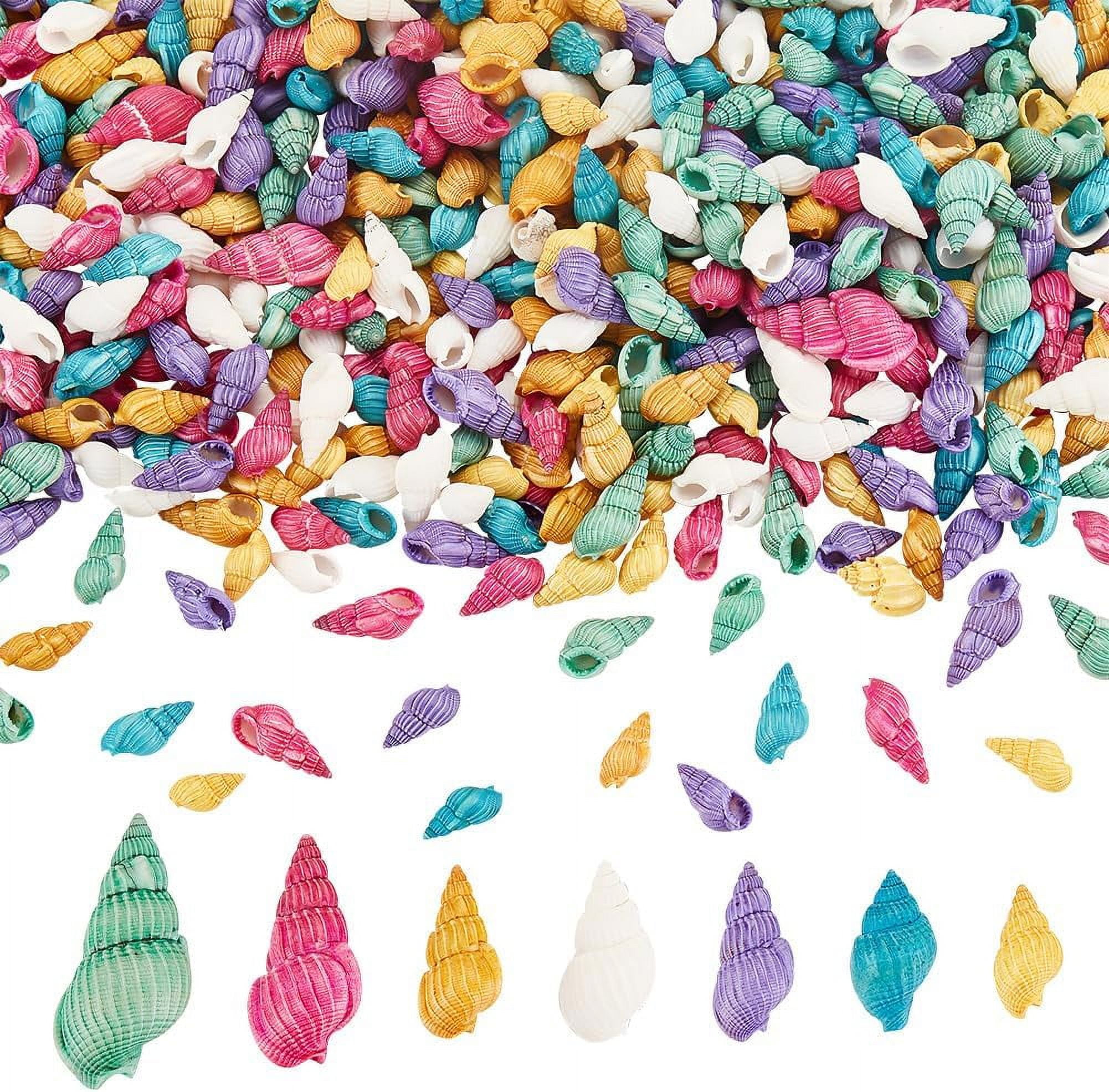 DIY 700pcs 7 Colors Tiny Sea Shells Mini Conch Shell Small Seashells ...
