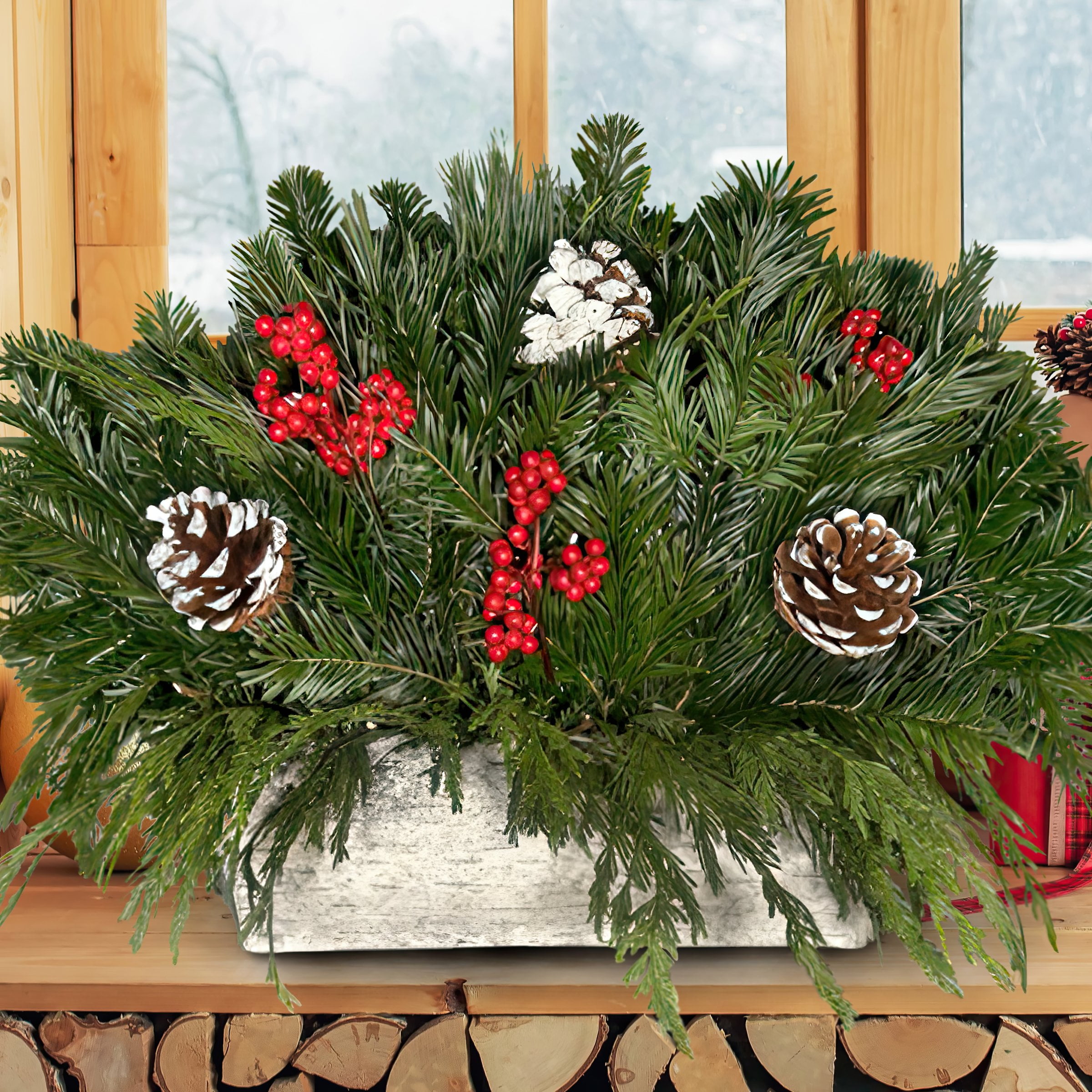 National Plant Network DIY Birch Log Assorted Kit - Walmart.com