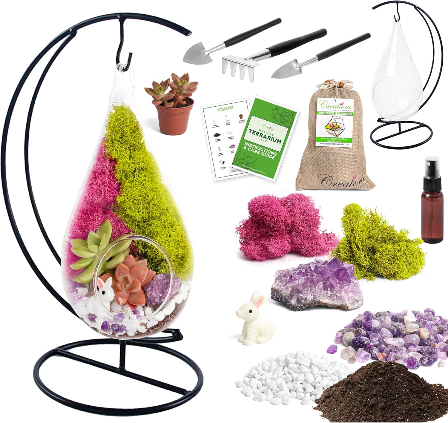 DIY Chalice Terrarium Kit with Live - Build Your Own Glass Terrarium for Adults & Kids with Moss ...