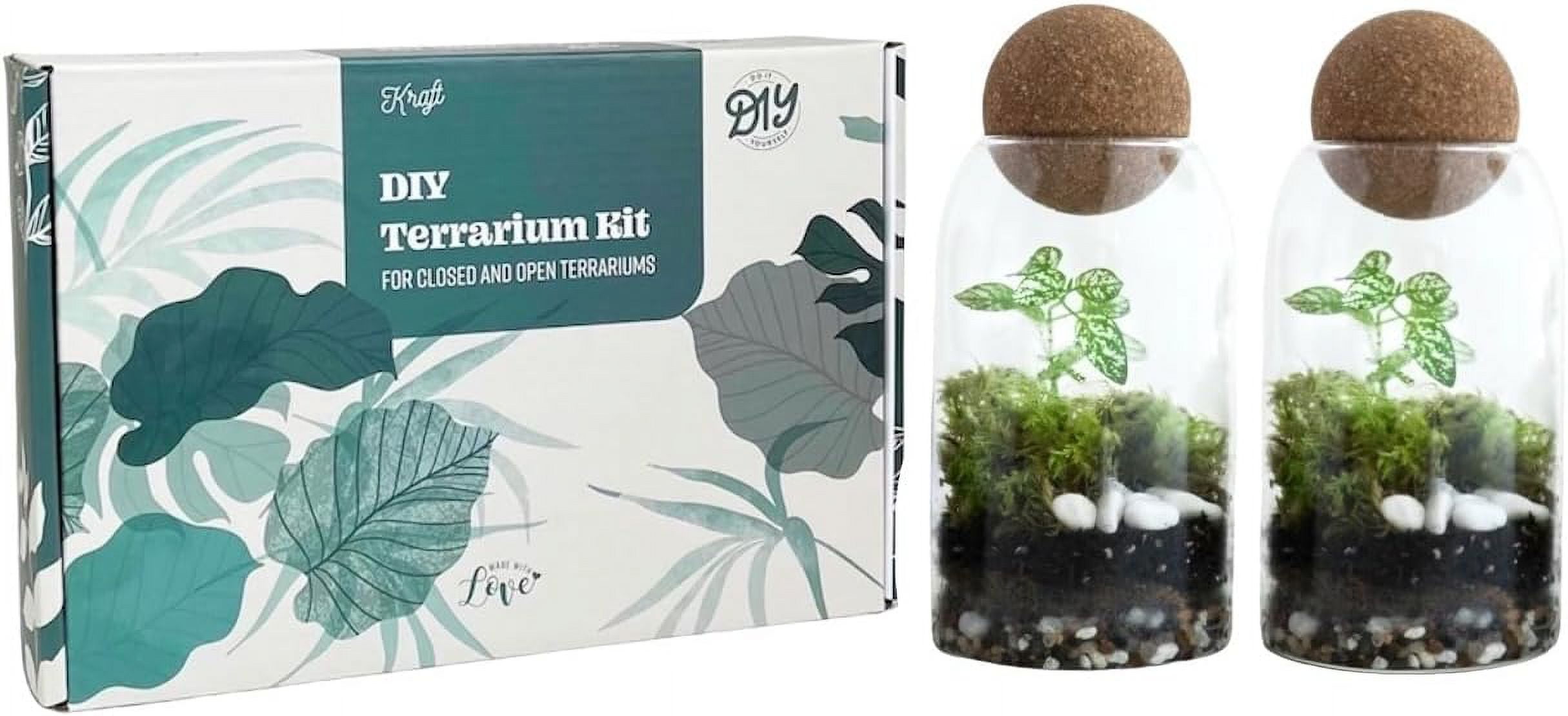DIY Closed Terrarium Kit - 2 x Indoor Plants, Live Moss & 2 x Medium ...