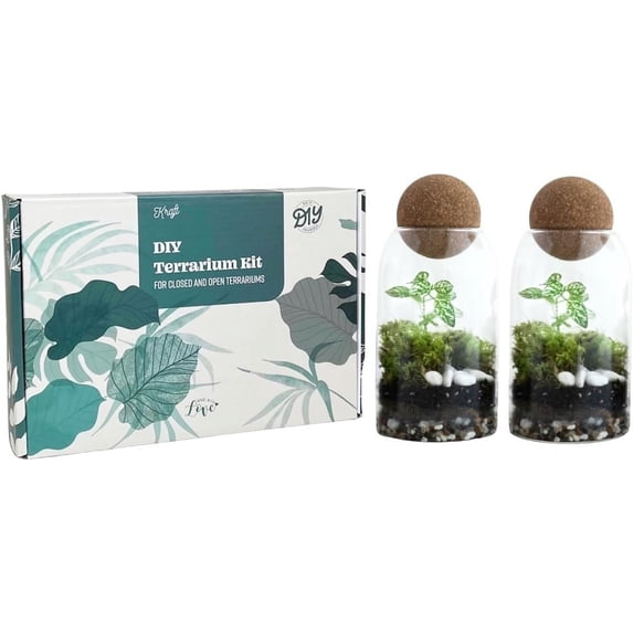 DIY Closed Terrarium Kit - 2 x Indoor Plants, Live Moss & 2 x Medium ...