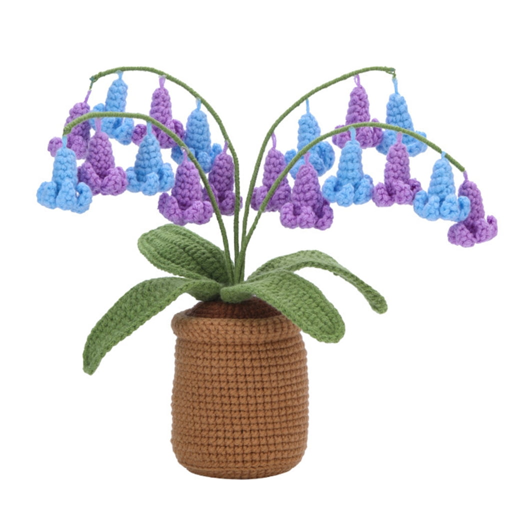 DIY Crochet Potted Set for Beginners Complete Starter Material Pack ...