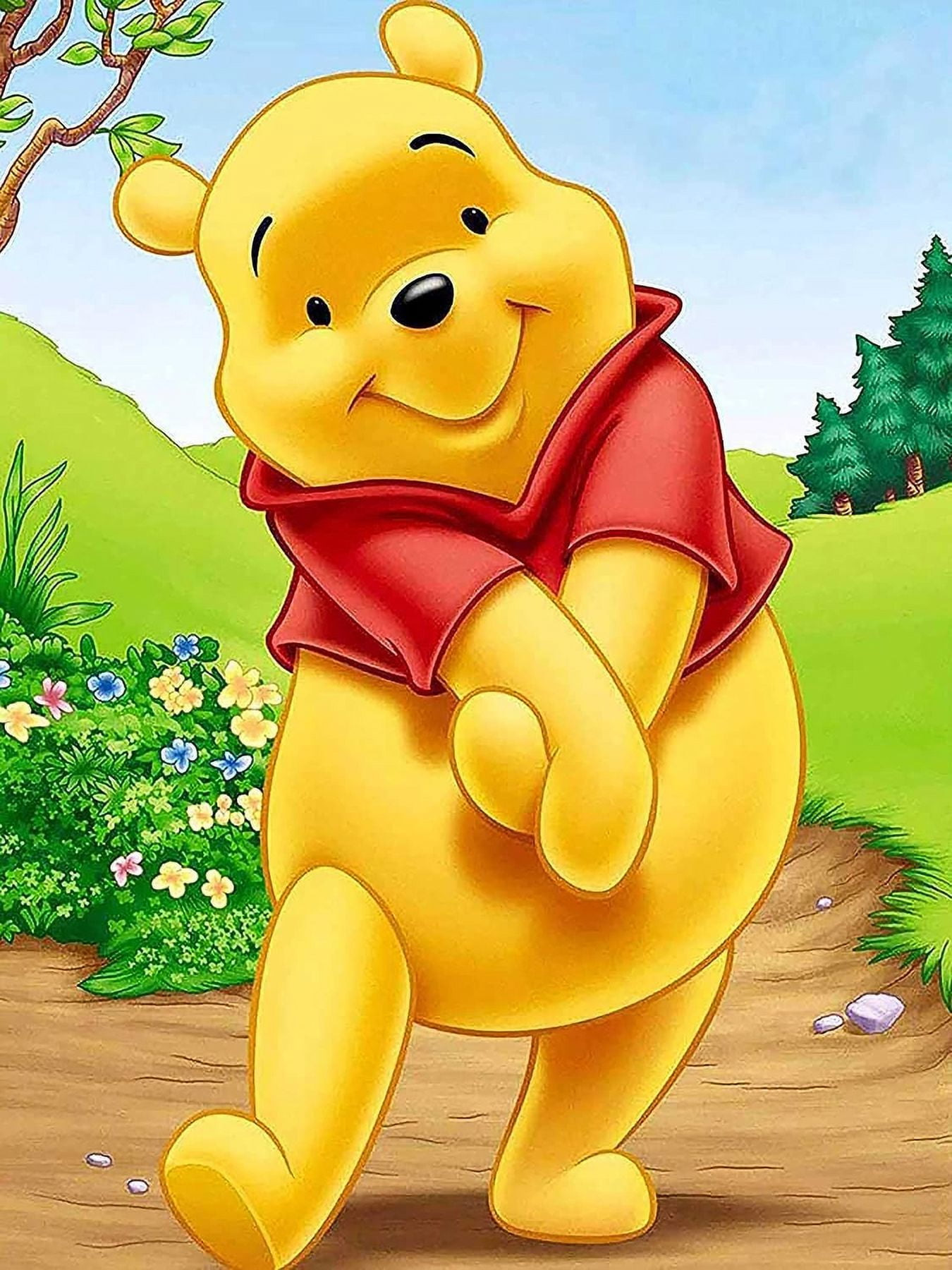 DIY Diamond Painting Winnie the Pooh 12x16Inch, Full Round Drill Kits ...