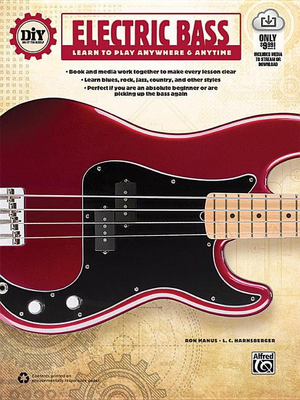 DIY (Do It Yourself) DIY (Do It Yourself) Electric Bass: Learn to Play ...