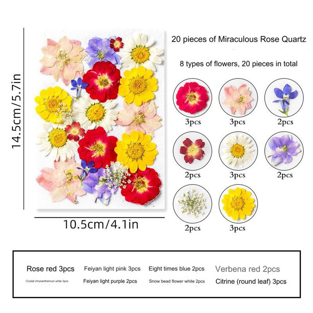 DIY Dried Flower Embossing Kit: Create Stunning Handmade Plant Art, 20A ...