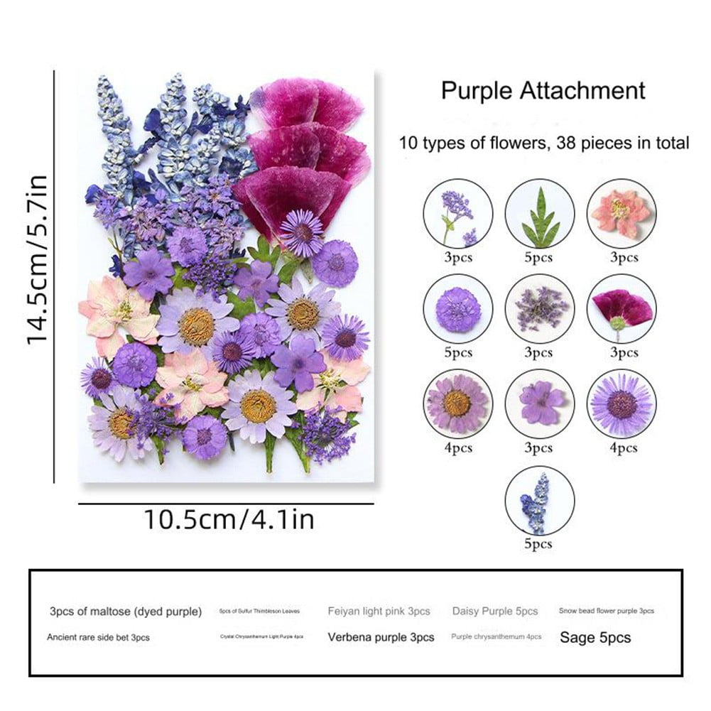 DIY Dried Flower Embossing Kit: Create Stunning Handmade Plant Art ...