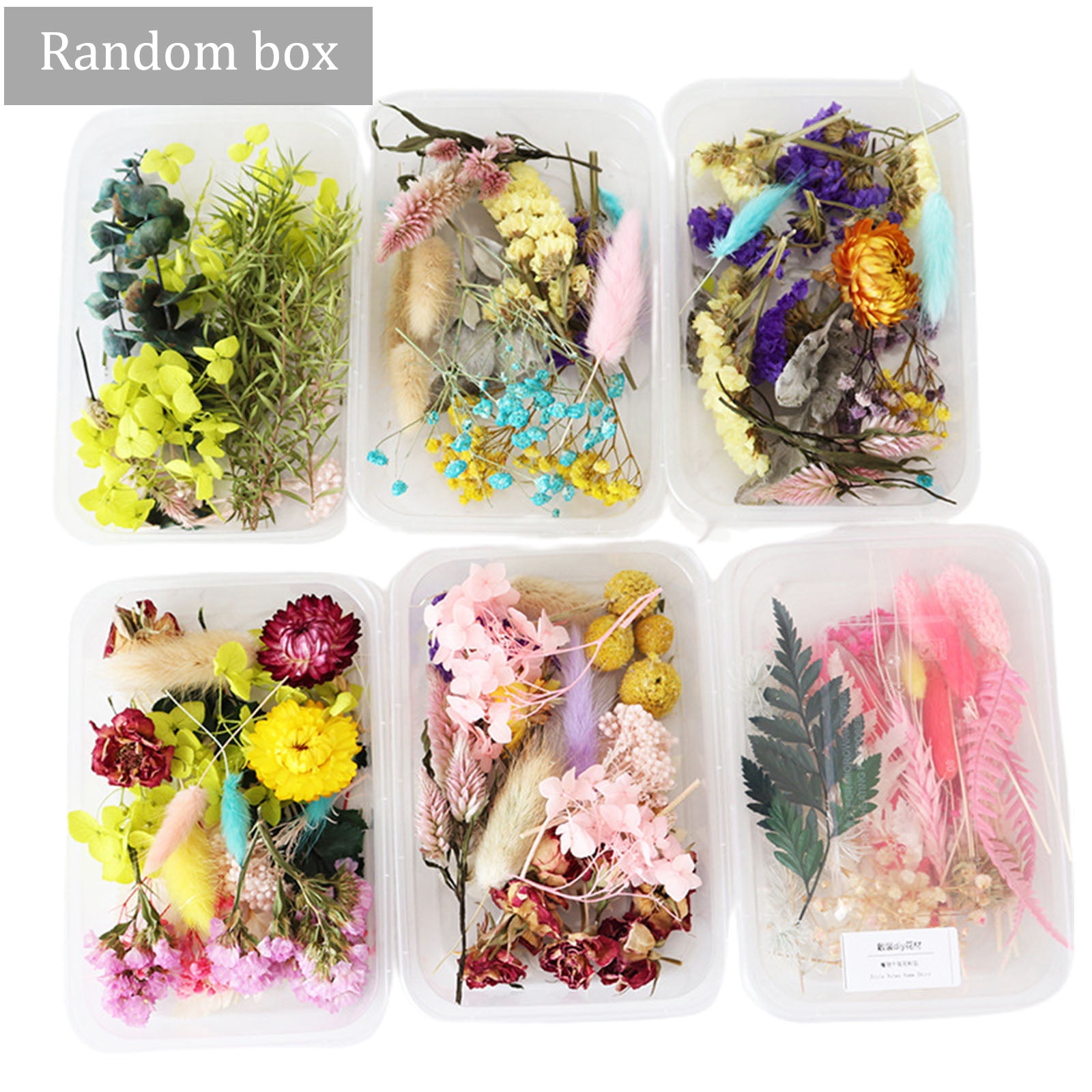 DIY Dried Flower Material Mixed Material Package DIY Dried Flower ...