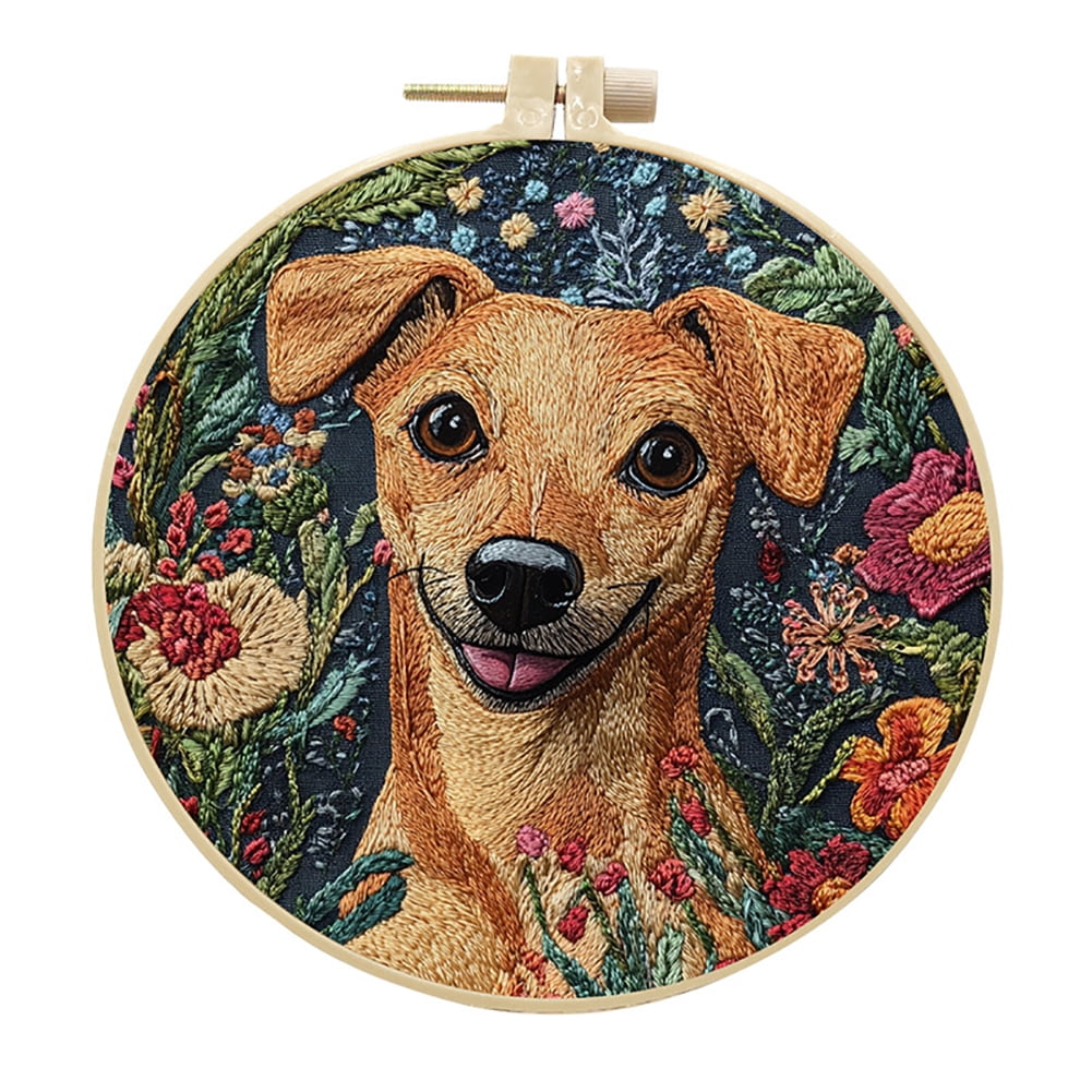 DIY Embroidery Kit Unfinished Embroidery Accessory 15CM Embroidery Hoop ...