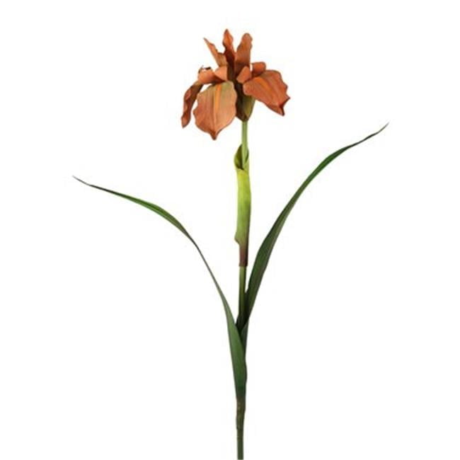 DIY Flower 28 in. Artificial Melon-Rust Single Bearded Iris 2 Leaves ...