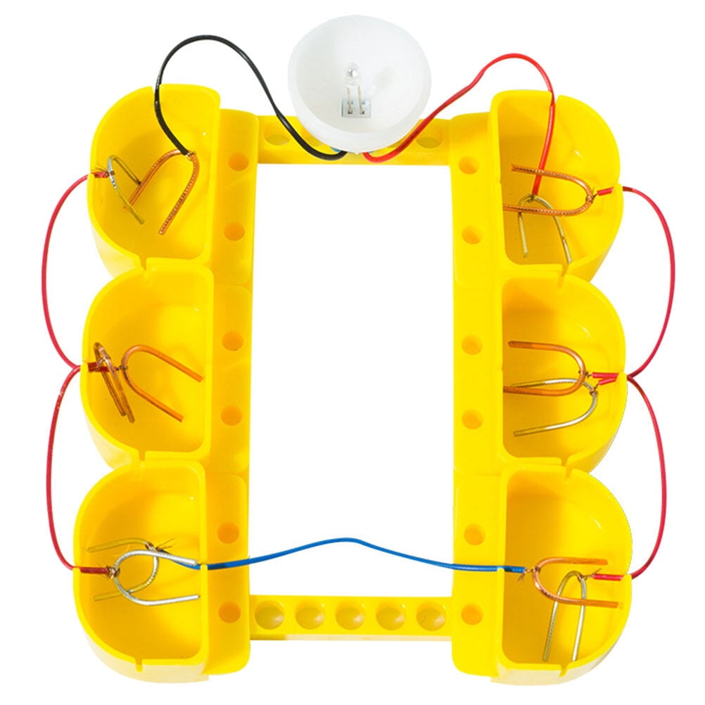 DIY Fruit Battery Toys Electricity Kit for Kids 9-12 Kids Toy Growing ...