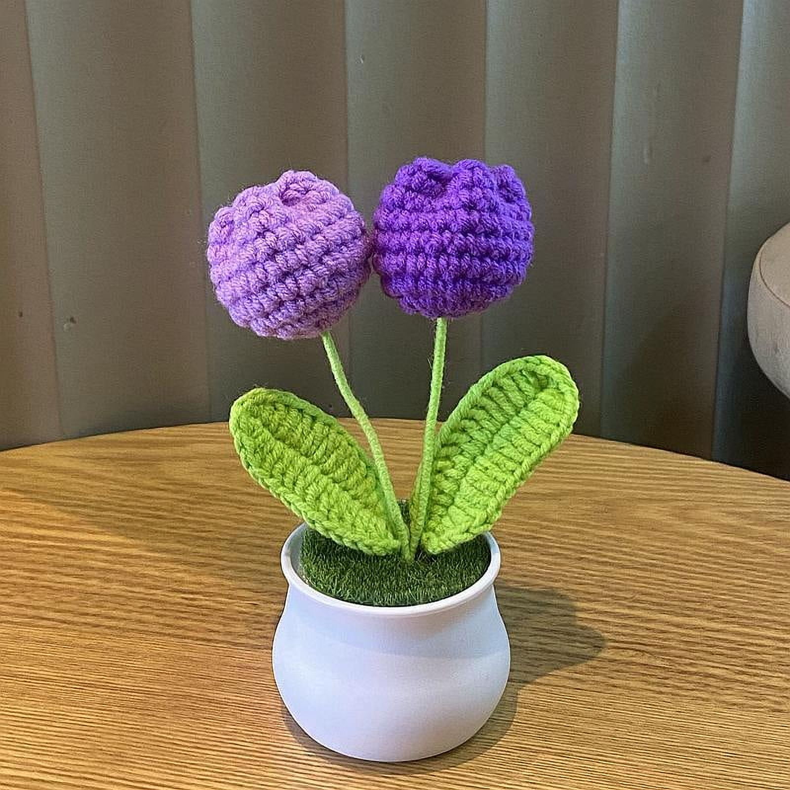 DIY Handwoven Mini Potted Flower Rose Office Desktop Ornamental Potted ...